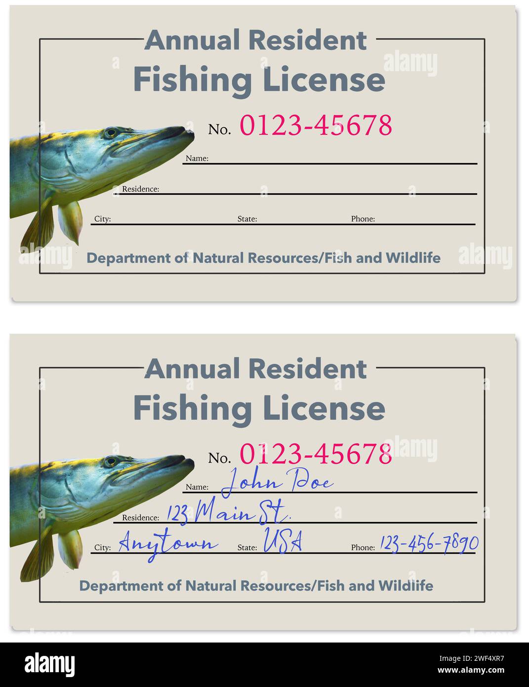 Mock state Cut Out Stock Images & Pictures - Alamy