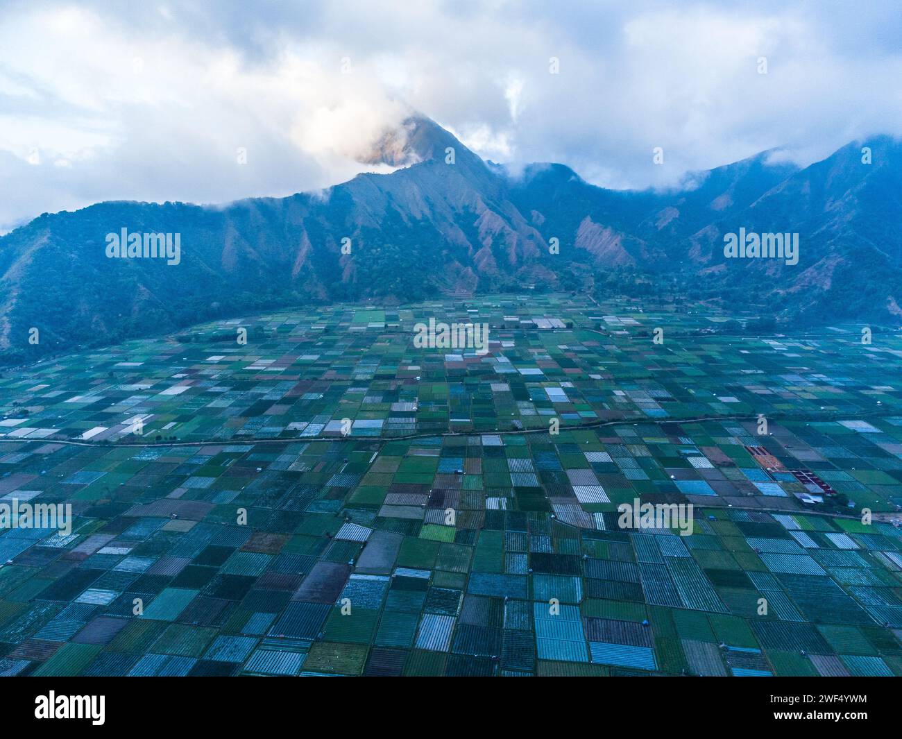 Aerial view of vegetable farms in Indonesia Stock Photo - Alamy