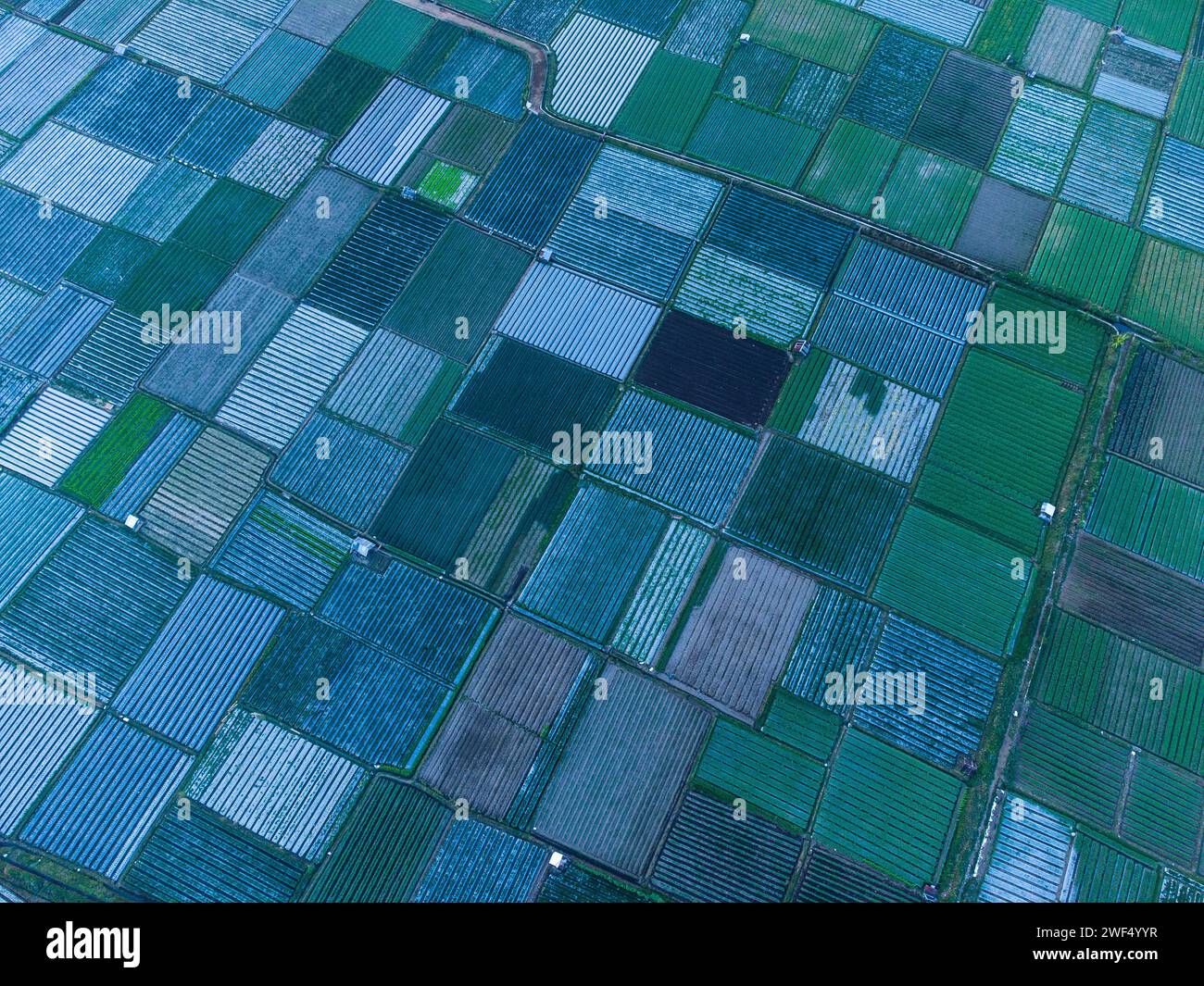 Aerial view of vegetable farms in Indonesia Stock Photo - Alamy