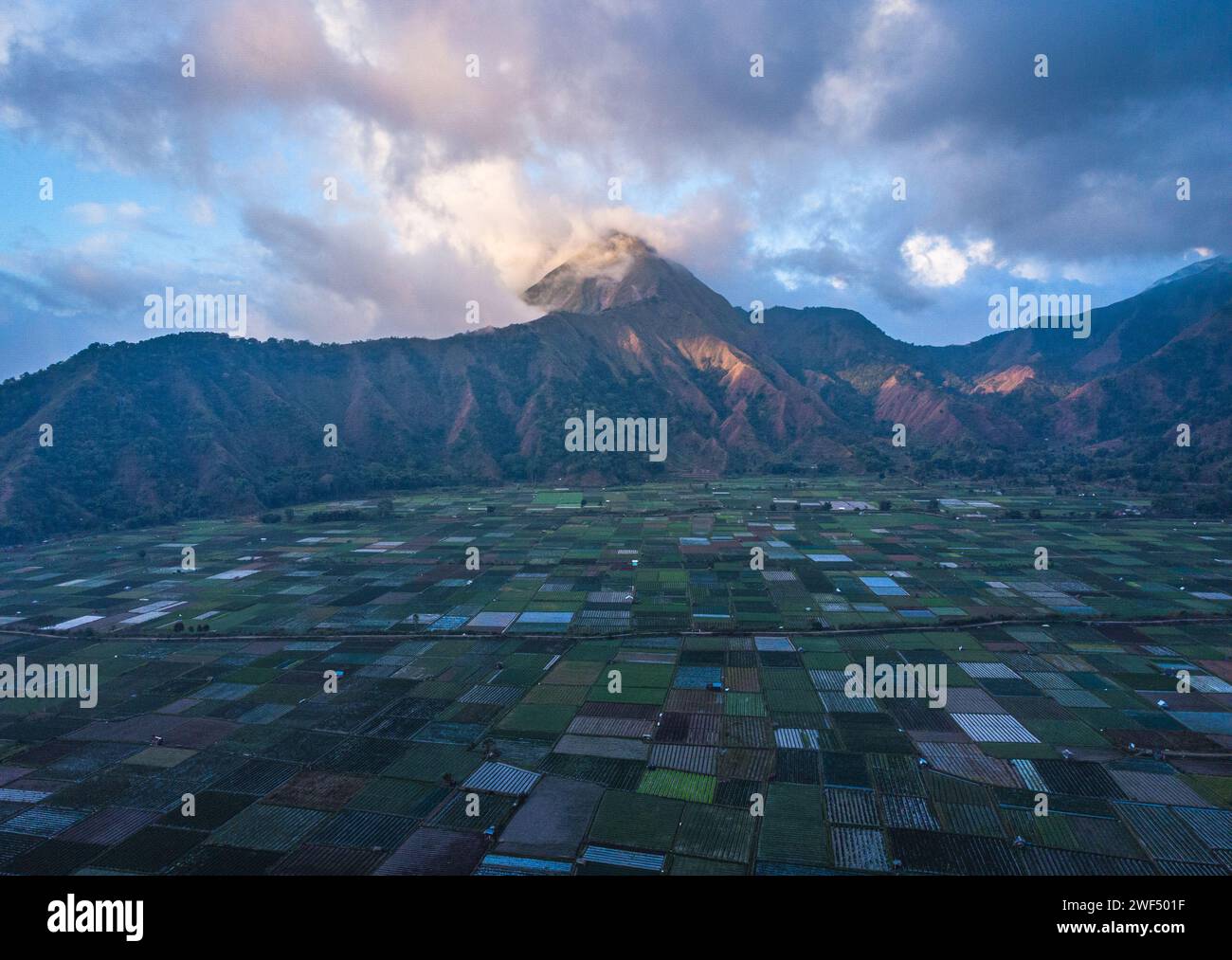 Aerial view of vegetable farms in Indonesia Stock Photo - Alamy