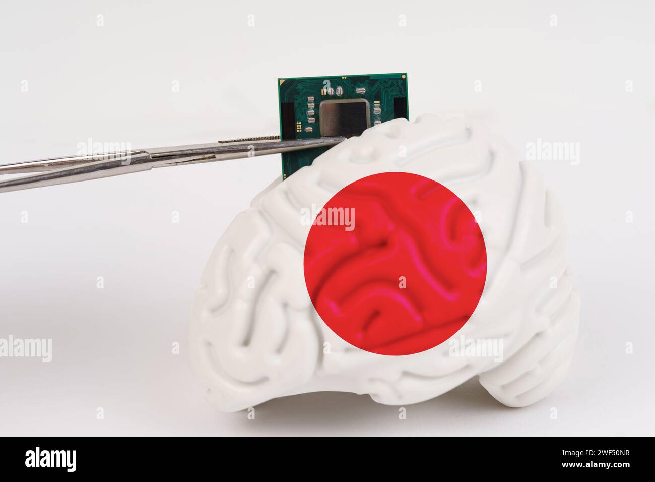 On a white background, a model of the brain with a picture of a flag ...