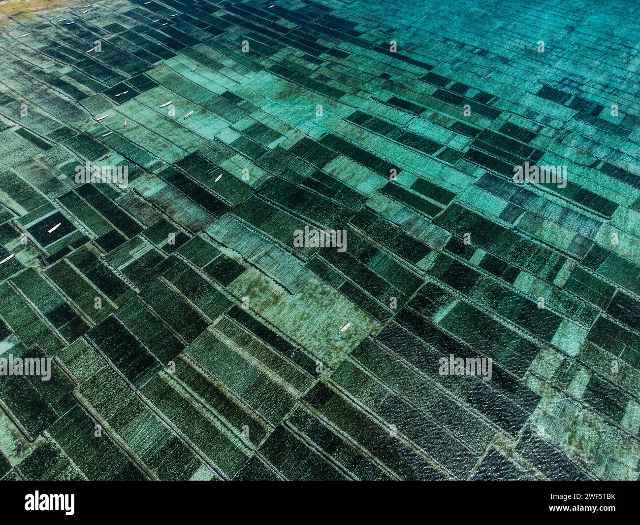 Aerial view seaweed farm lembongan hi-res stock photography and images ...