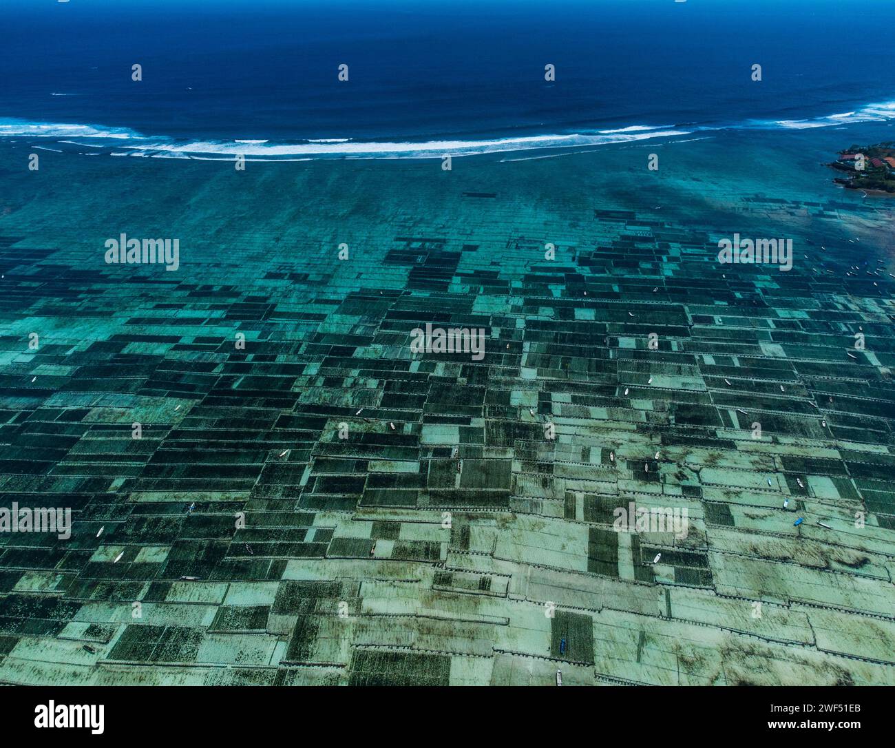 Seaweed farm aerial hi-res stock photography and images - Alamy