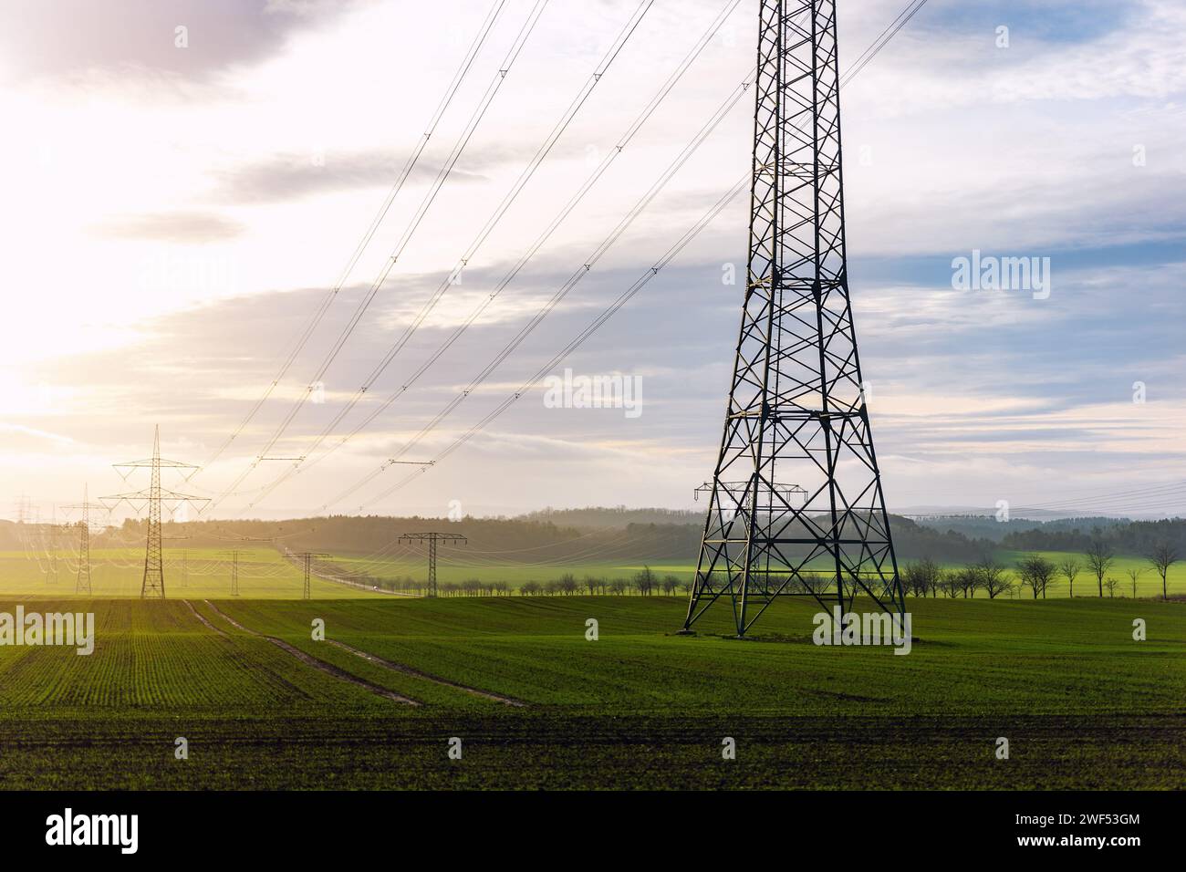 Scenic view of electricity pylons stretching across green fields warm ...