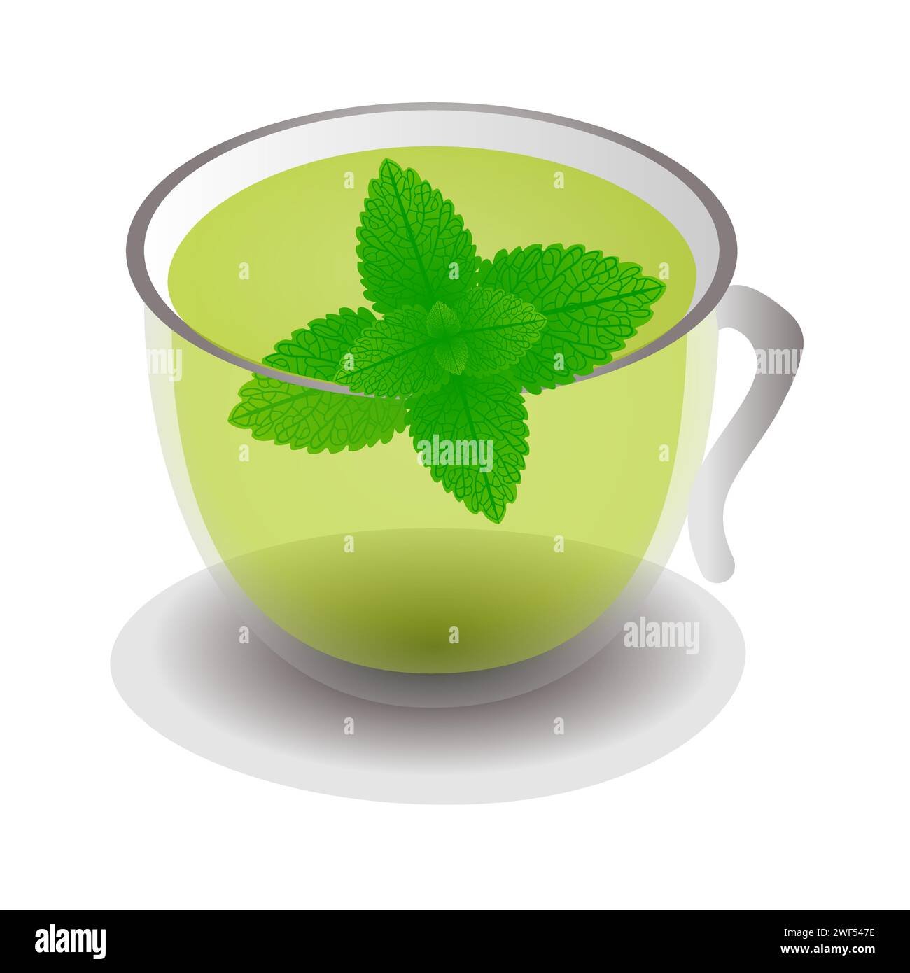 Melissa tea cup Stock Vector Images - Alamy