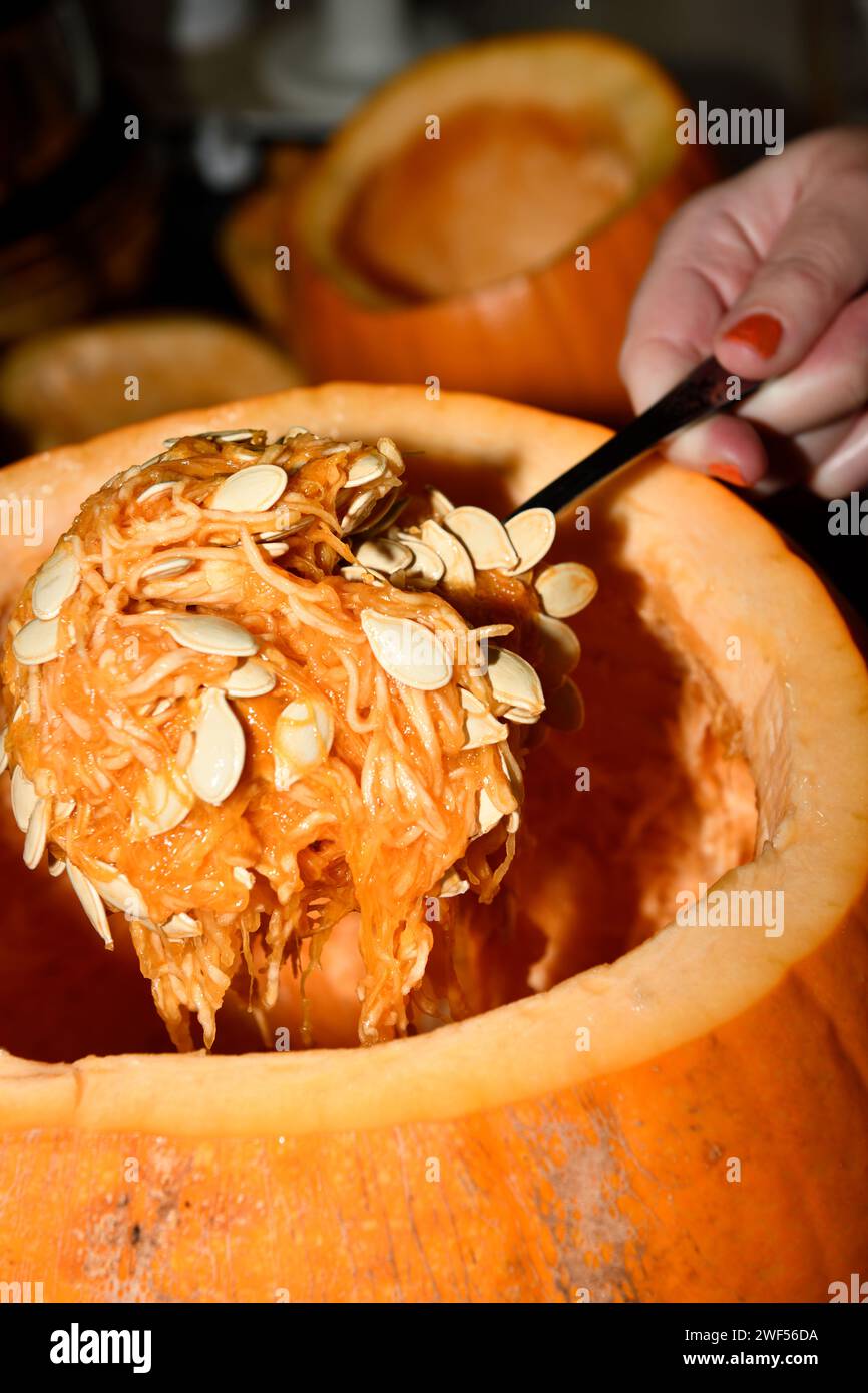 Scooping out the seeds inside the Pumpkin Stock Photo - Alamy