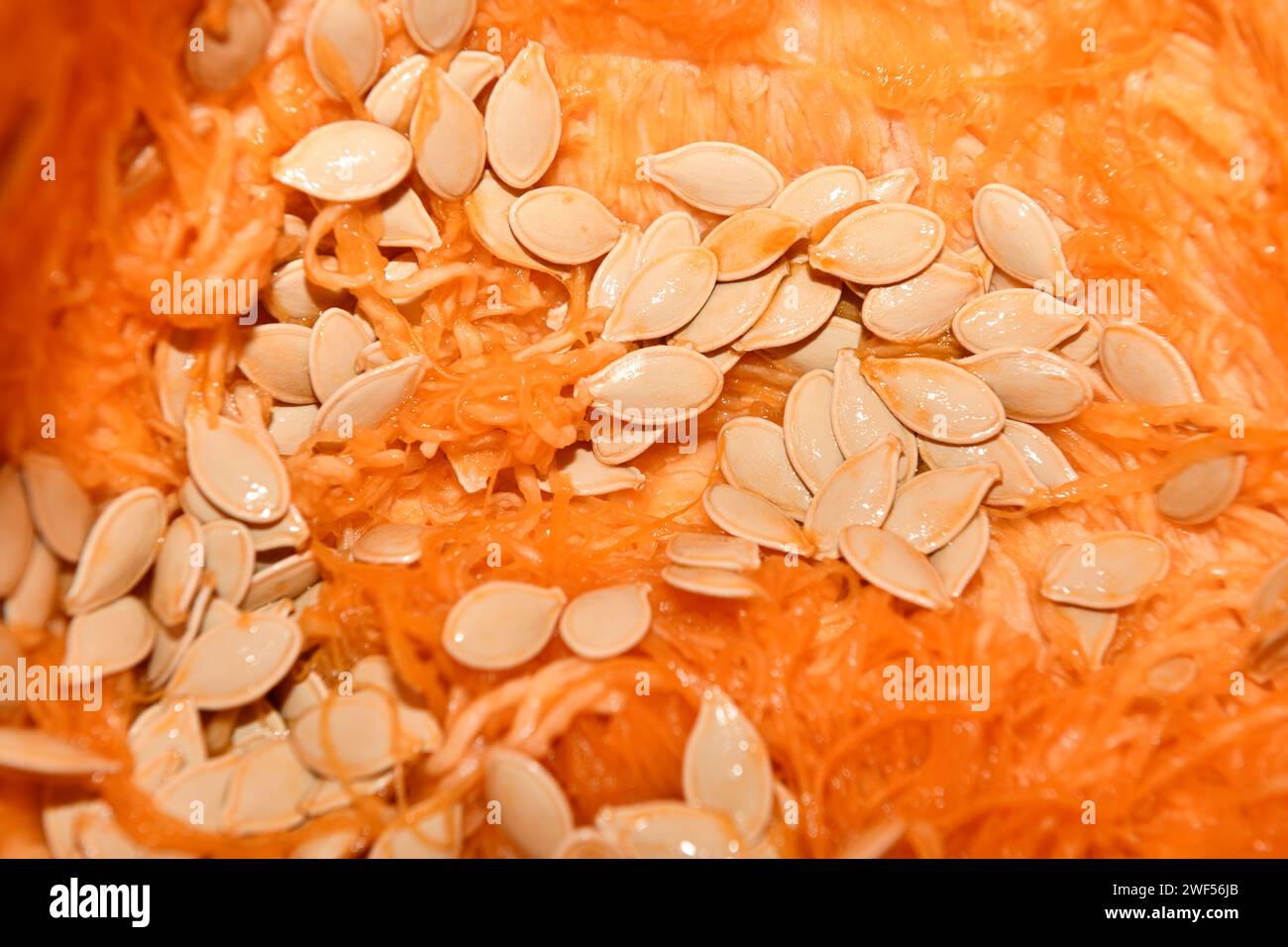 Seeds hi res hi-res stock photography and images - Alamy