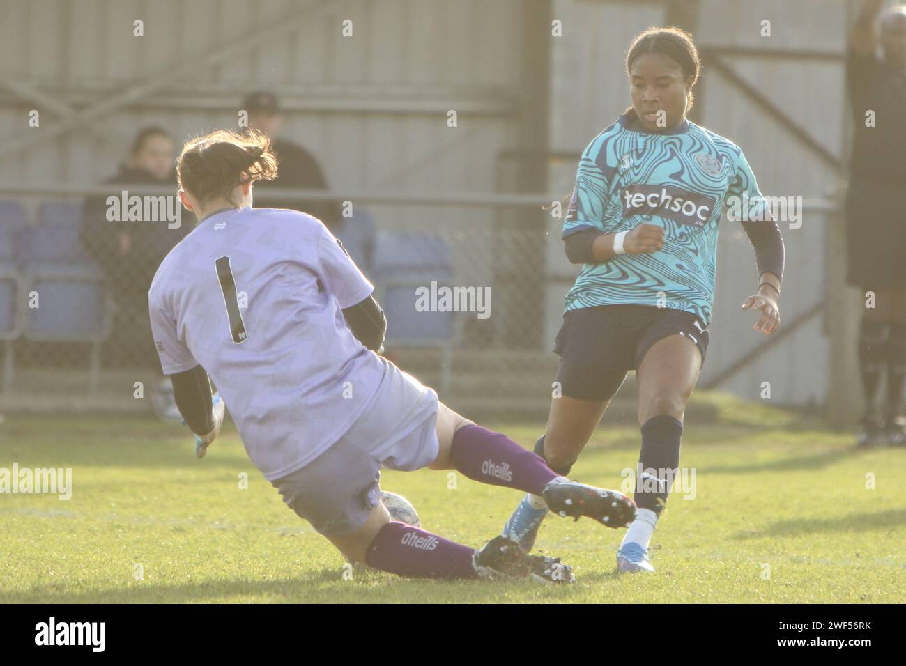 Womens diving hi-res stock photography and images - Alamy