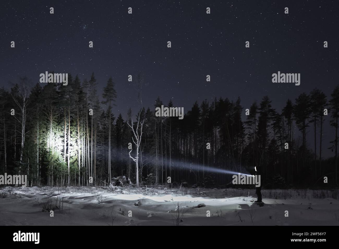 Night scene, a man hiker with a flashlight in the forest in winter ...