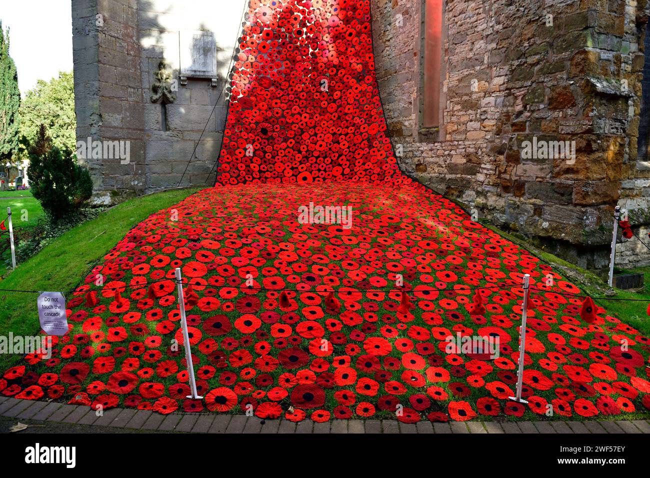 A sea of thousands of knitted poppies have been draped from St Peter’s ...