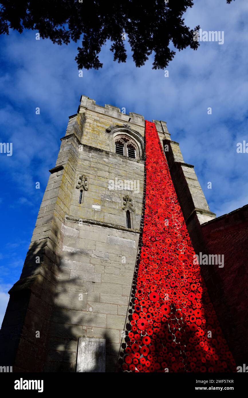 A sea of thousands of knitted poppies have been draped from St Peter’s ...