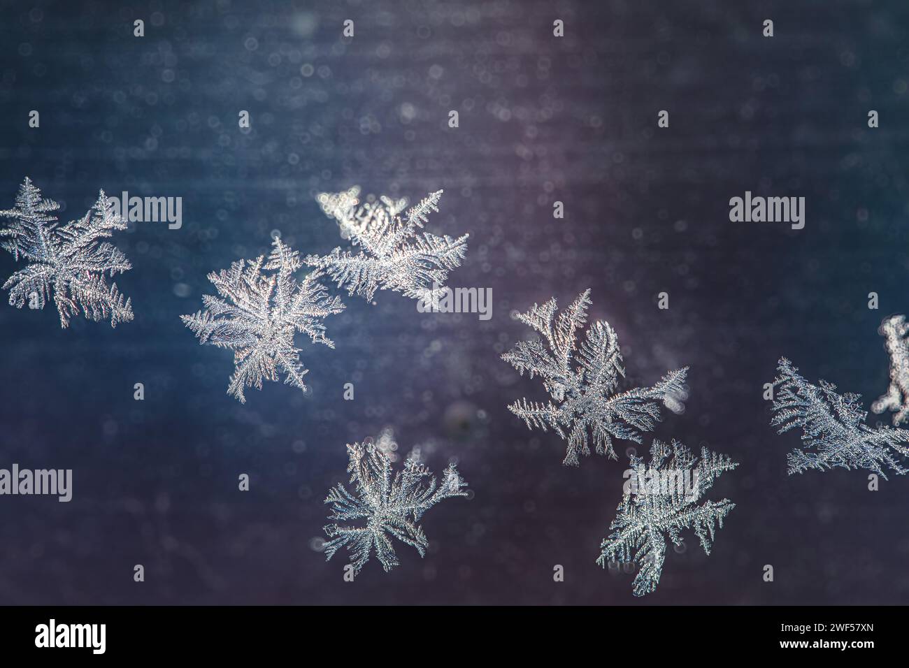delicate design of frost on the window, cold winter weather Stock Photo ...