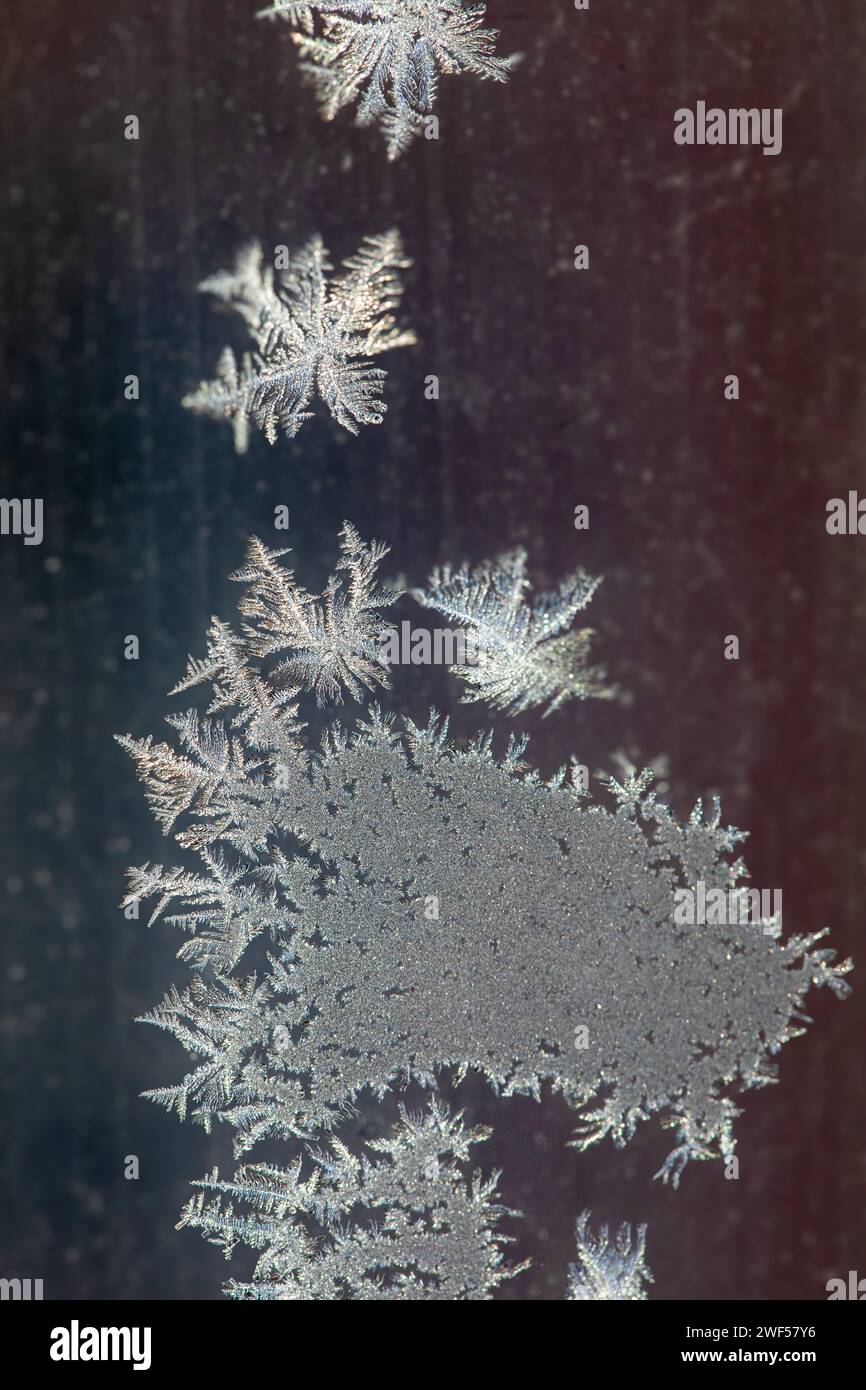 Frost design hi-res stock photography and images - Alamy