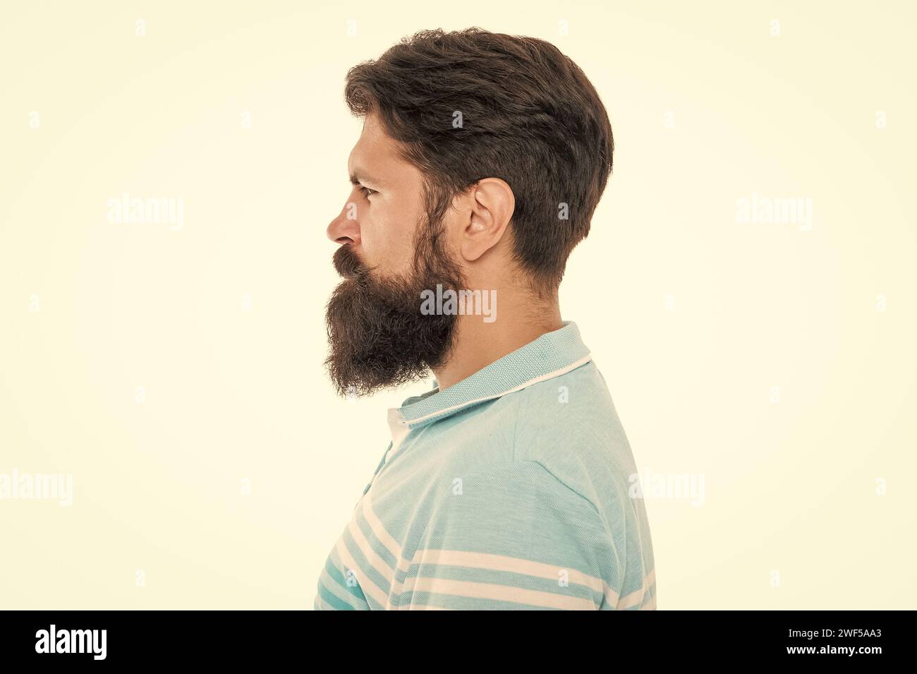 Bearded man profile portrait. Man profile face with beard and moustache ...
