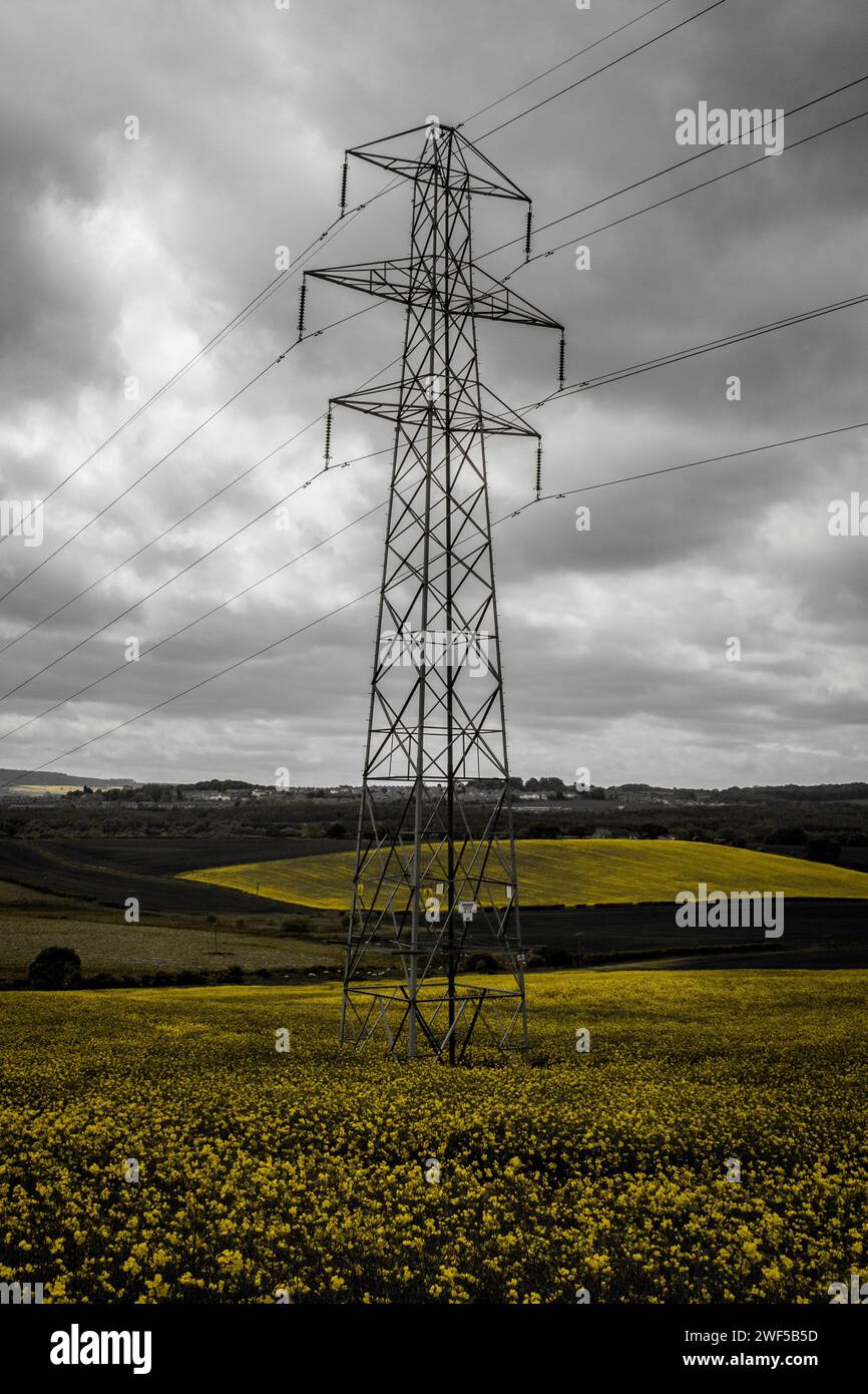 Oilseed pylon hi-res stock photography and images - Alamy
