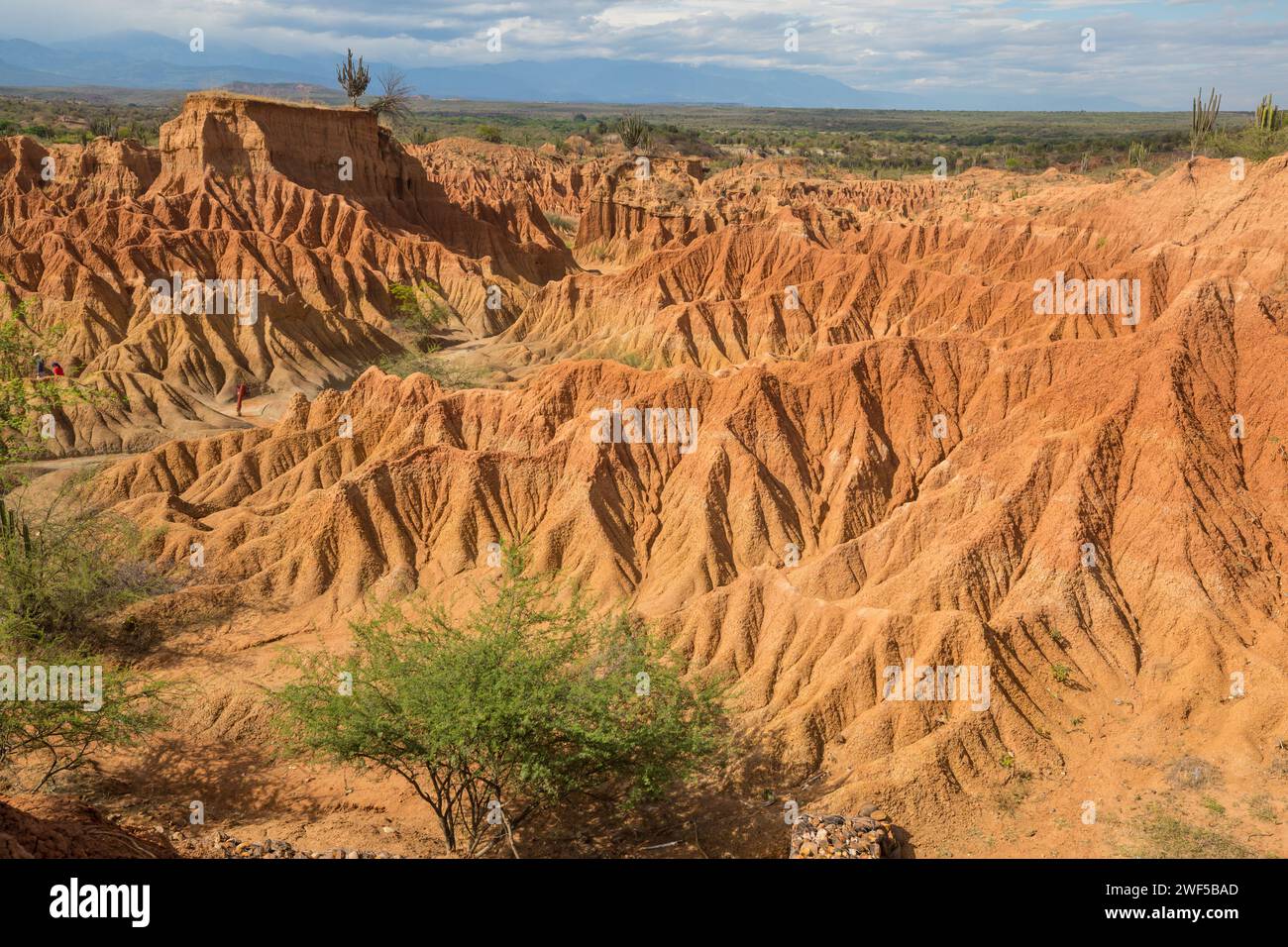 Unusual landscapes in Tatacoa desert, Colombia, South America Stock ...