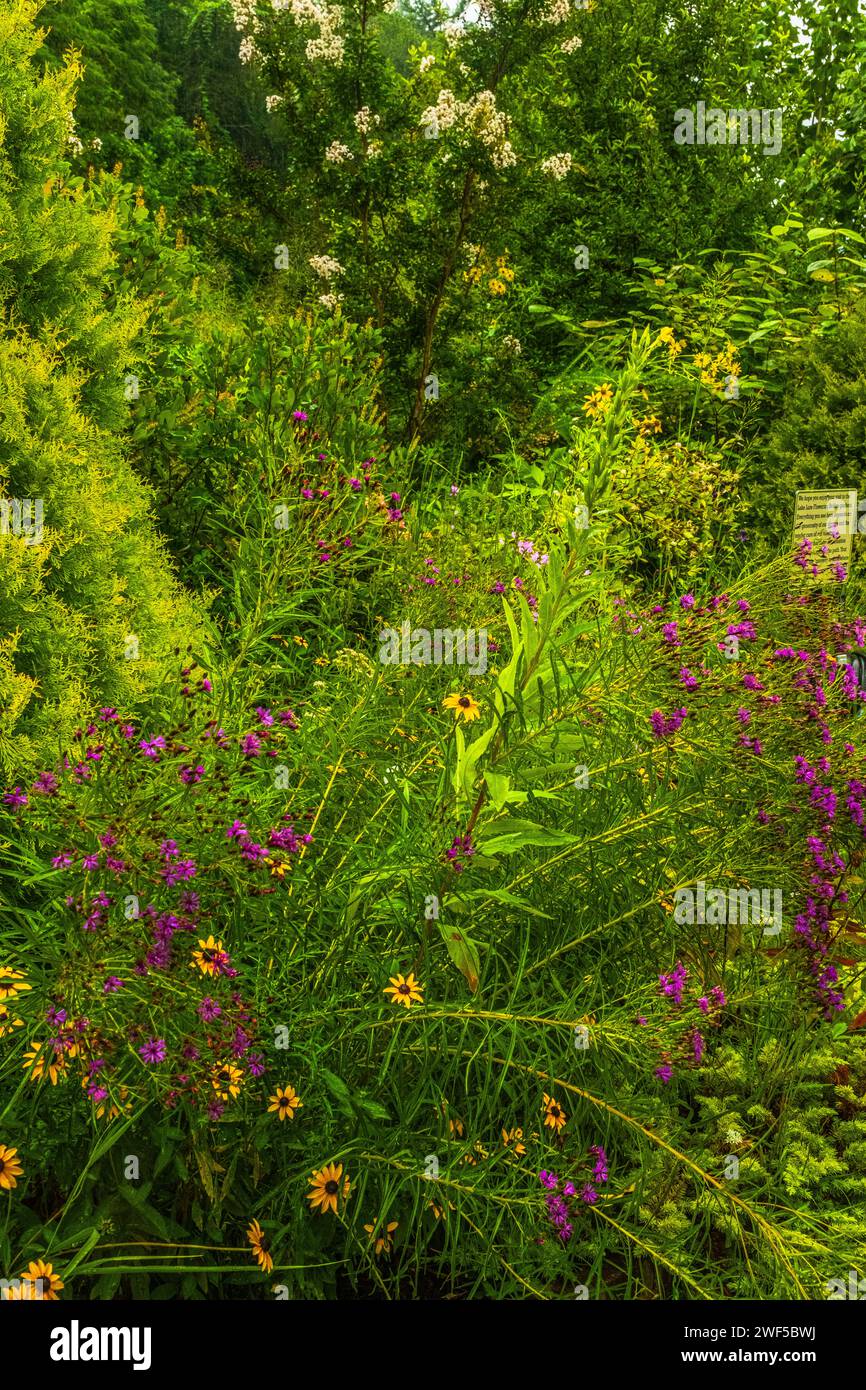 Colorful flowers abound at Flowering Bridge Garden, Lake Lure North ...