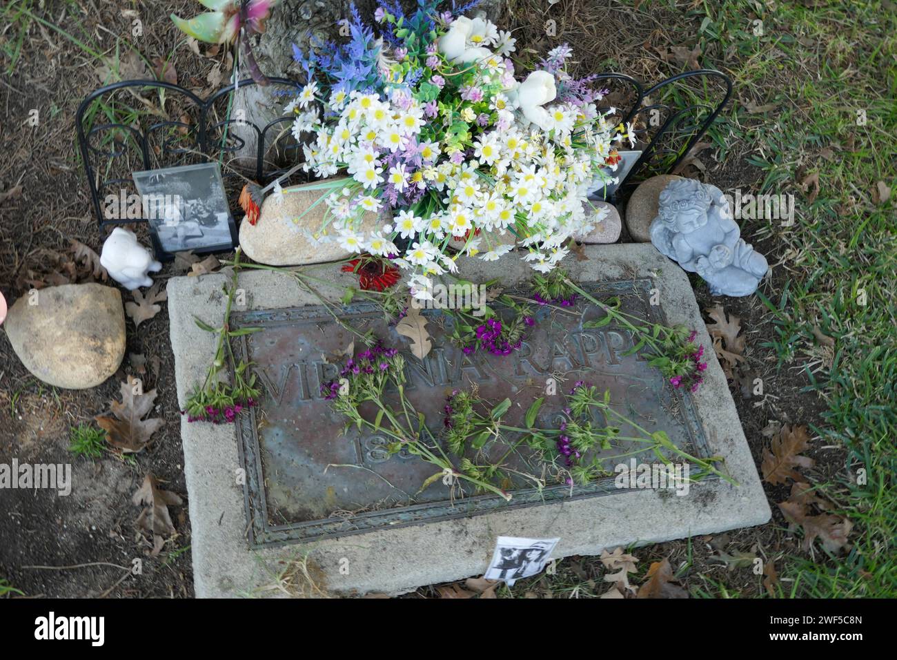 Los Angeles, California USA 27th January 2024 Actress Virginia Rappe ...