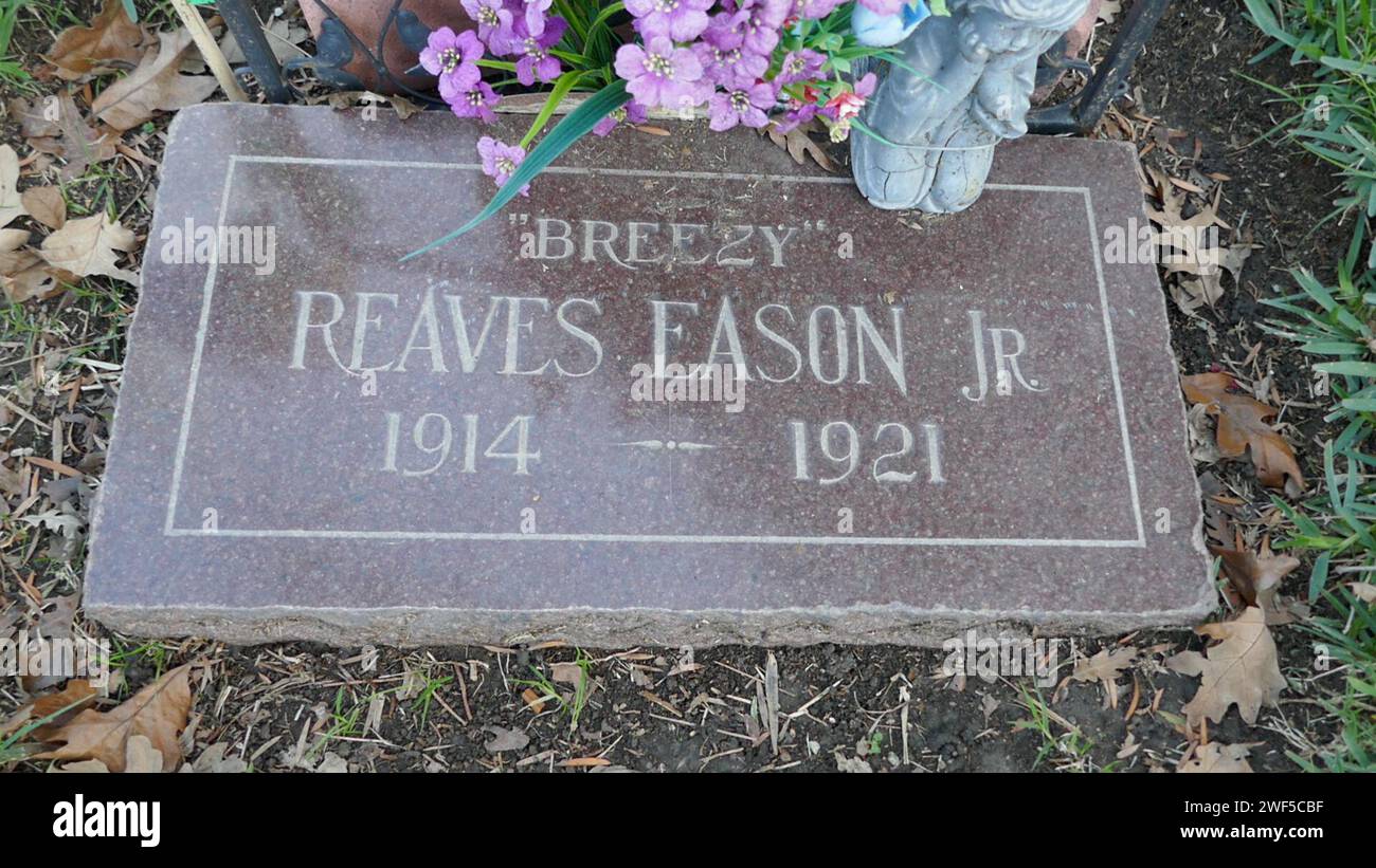 Los Angeles, California USA 27th January 2024 Actor Reaves ÒBreezyÓ ...