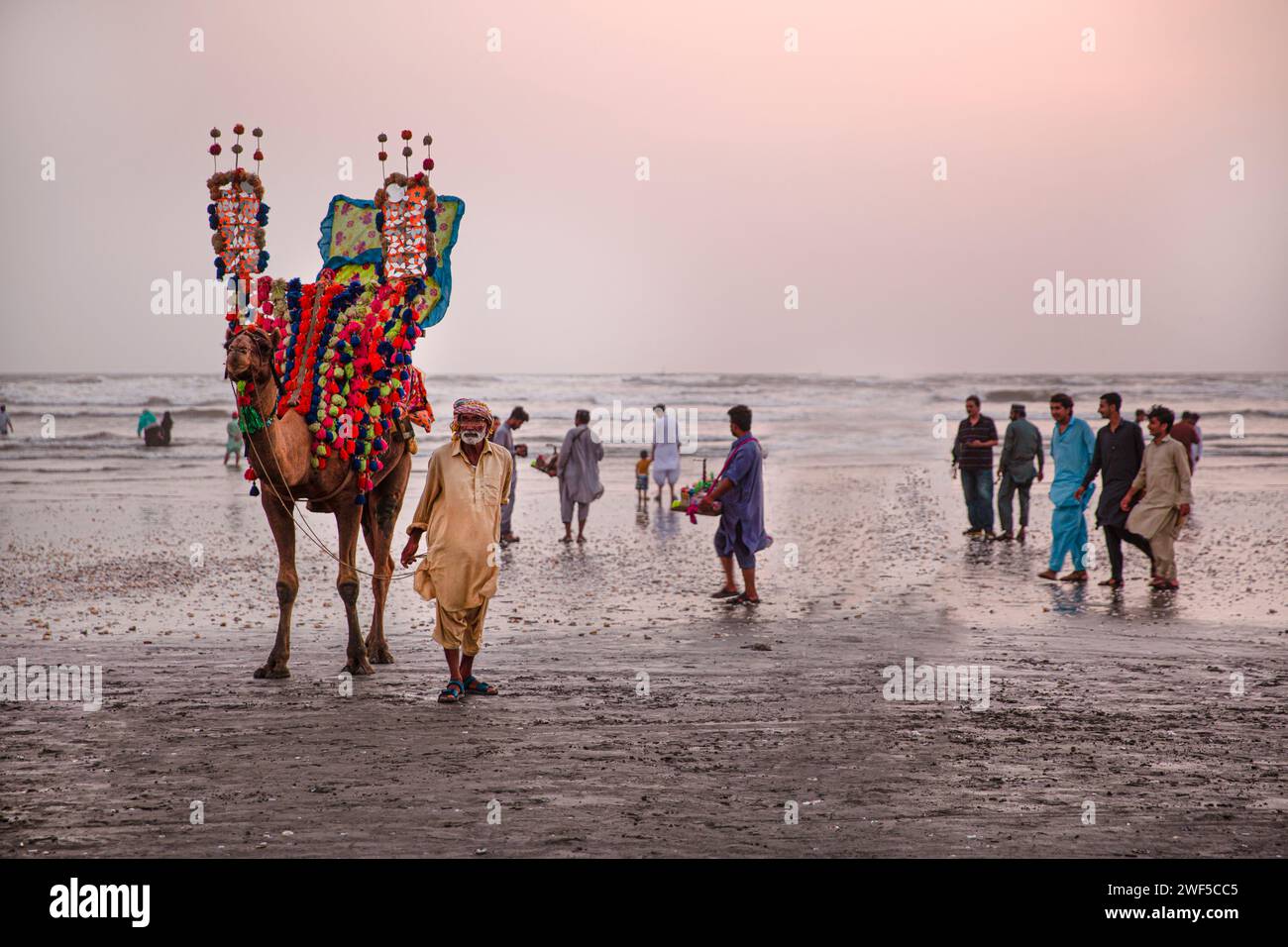 23 September 2023, Karachi, Pakistan. Local people with camel and ...