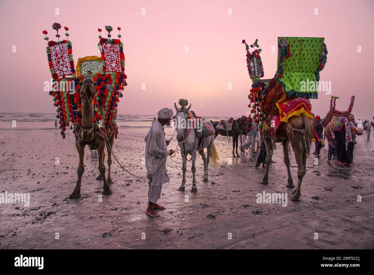 Local people with camel and tourists in Clifton beach in Karachi ...