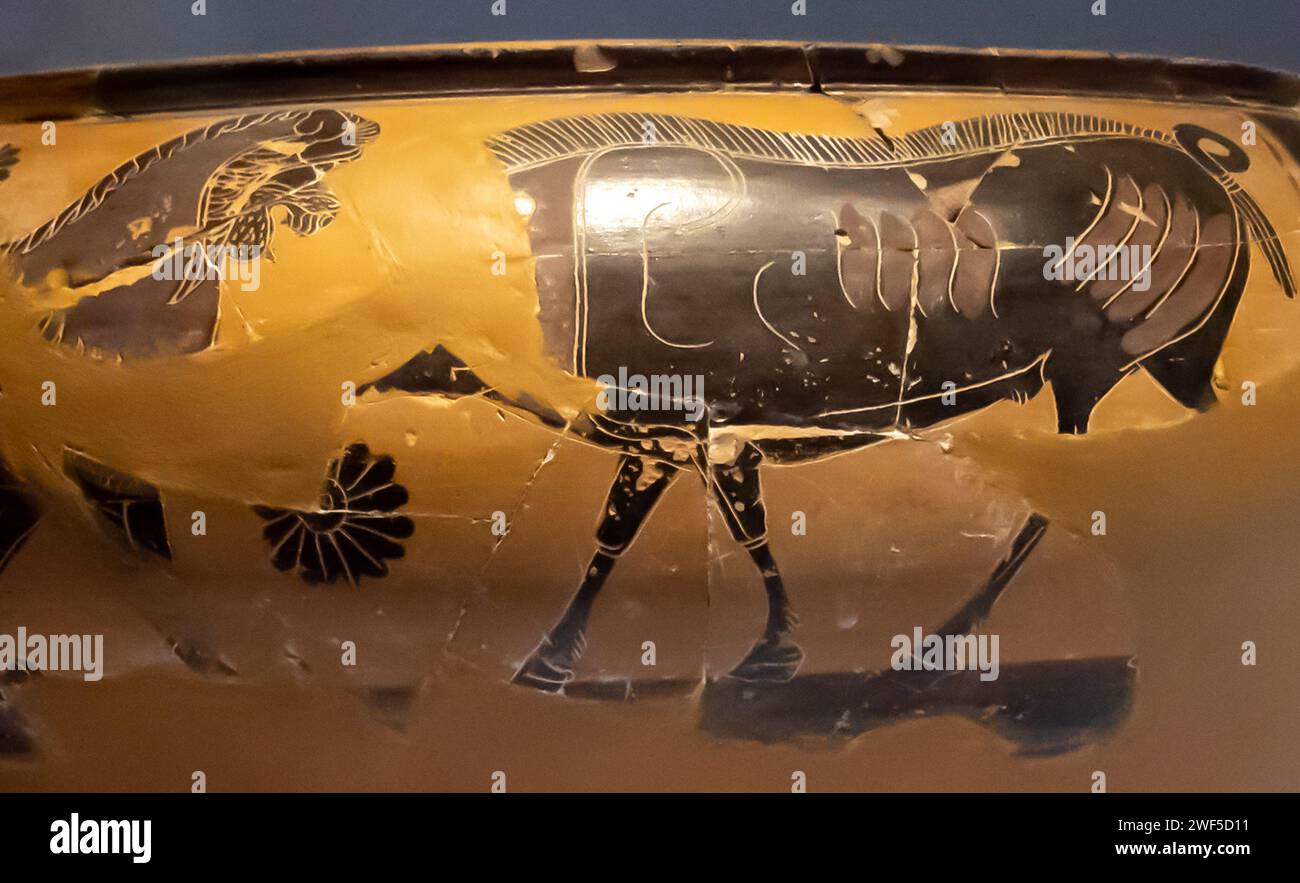 Bull painting on Loutherion by Ancient Greek painter Sophilos, Phokaia ...