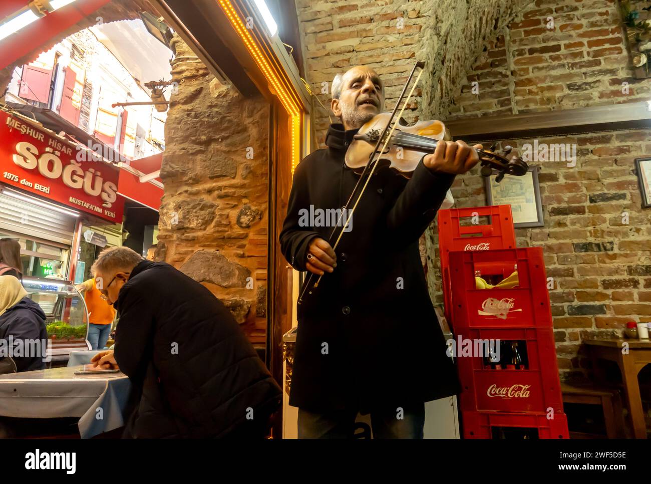 Goat playing a violin hi-res stock photography and images - Alamy