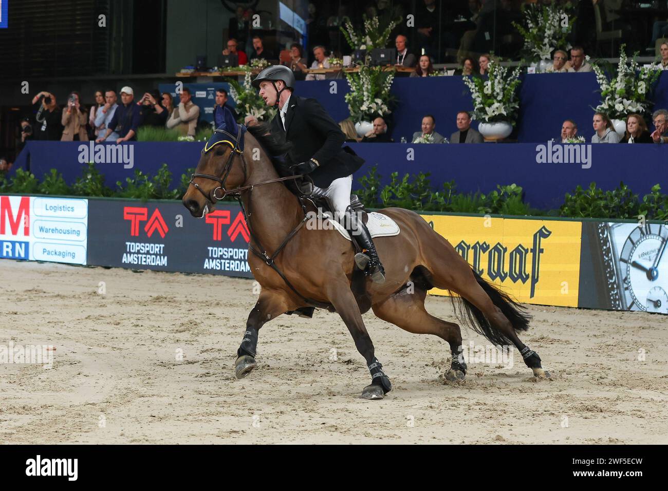 Fei longines springen hi-res stock photography and images - Alamy