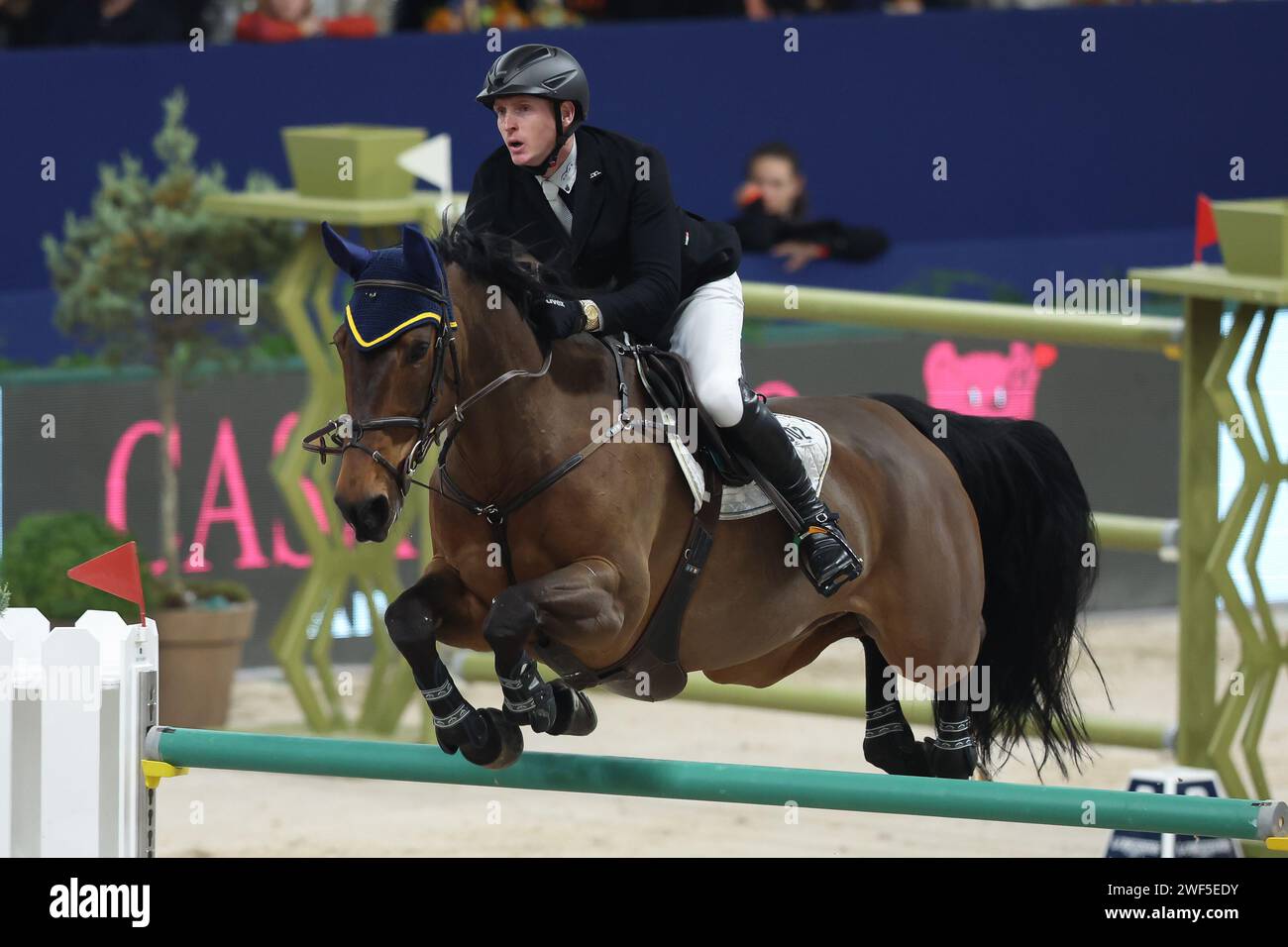 Fei longines springen hi-res stock photography and images - Alamy