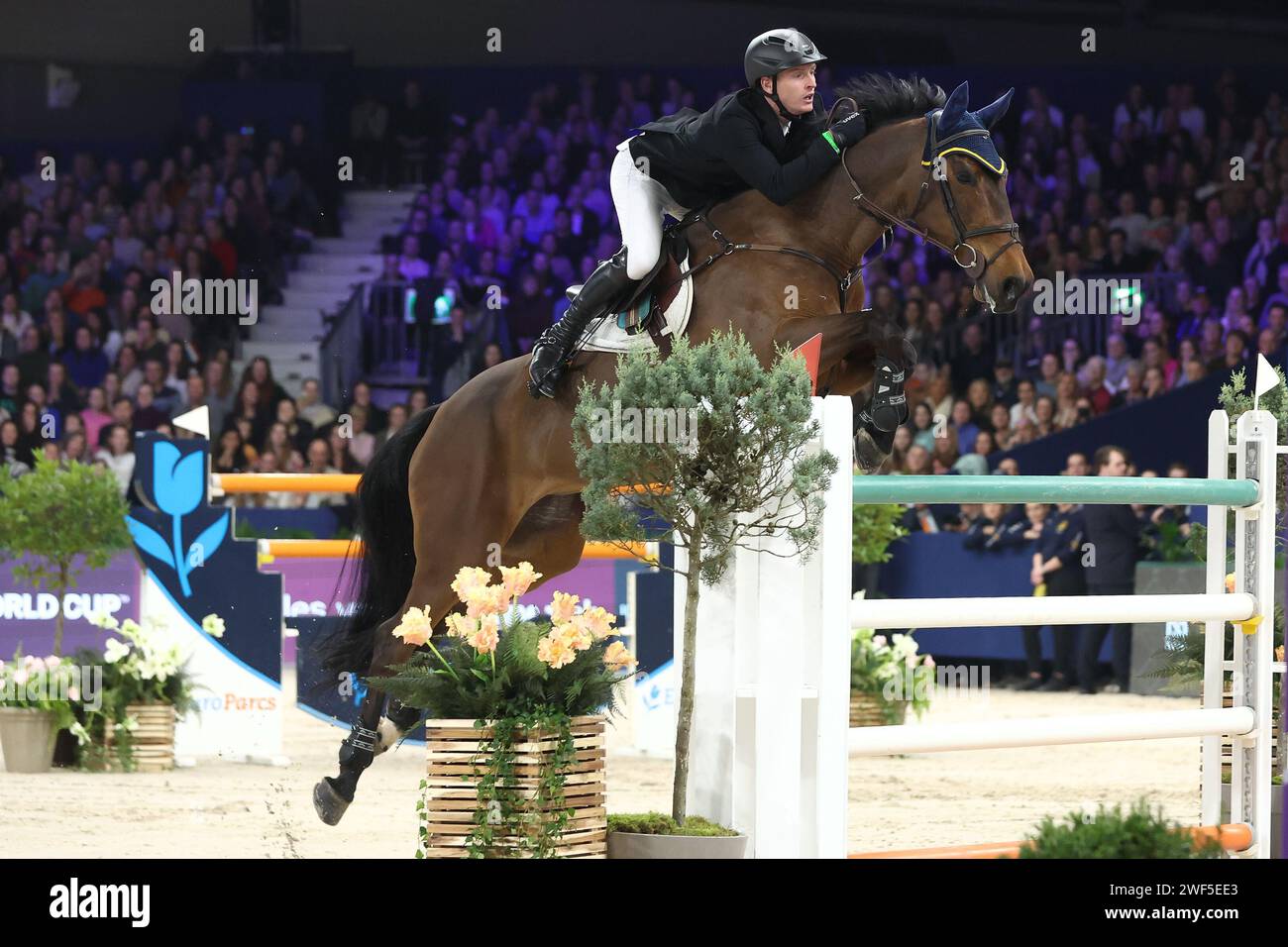 AMSTERDAM, NETHERLANDS - JANUARY 28 : Daniel Coyle (IRL) Legacy winner ...