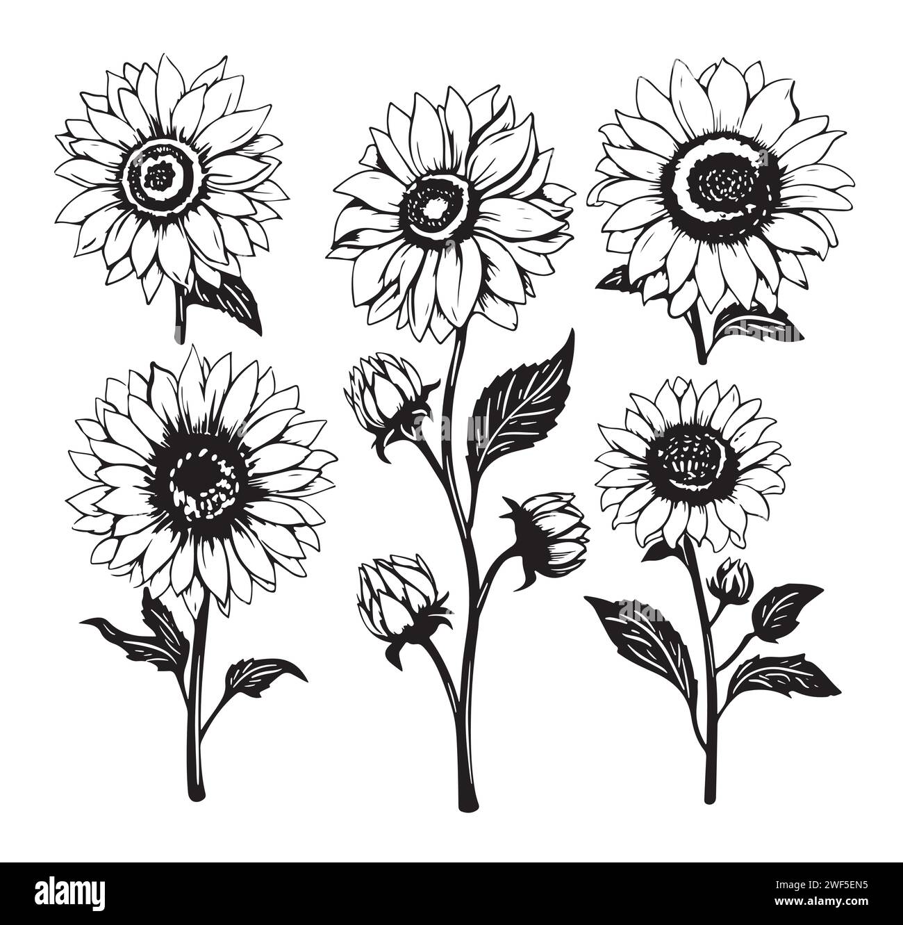 Sunflower Black And White Clip Art Sunflowers Vector Clip Art Black Sunflower Black And White Clip Art Sunflowers Vector Clip Art Black