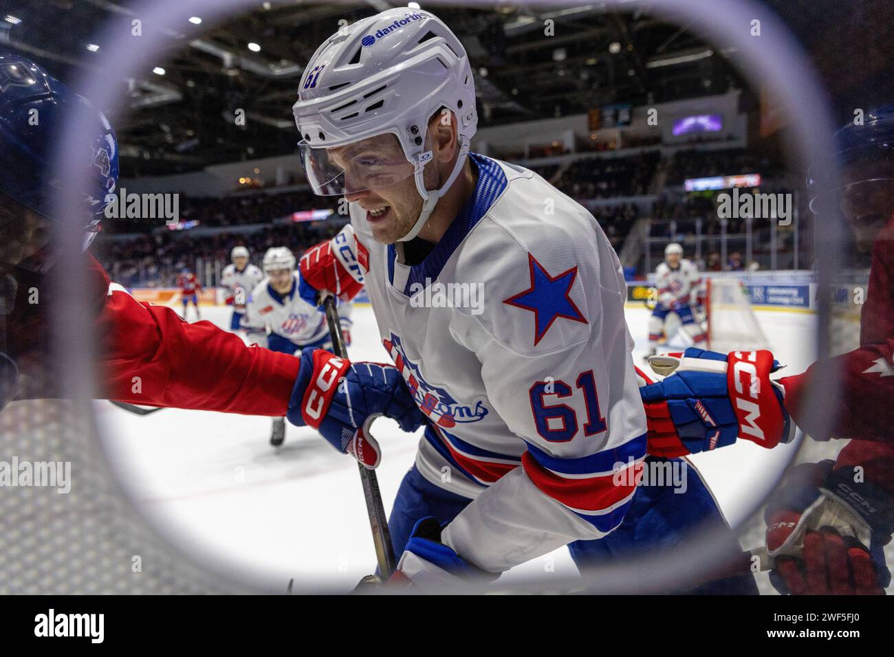 January 27th, 2024: Rochester Americans defenseman Riley Stillman (61 ...