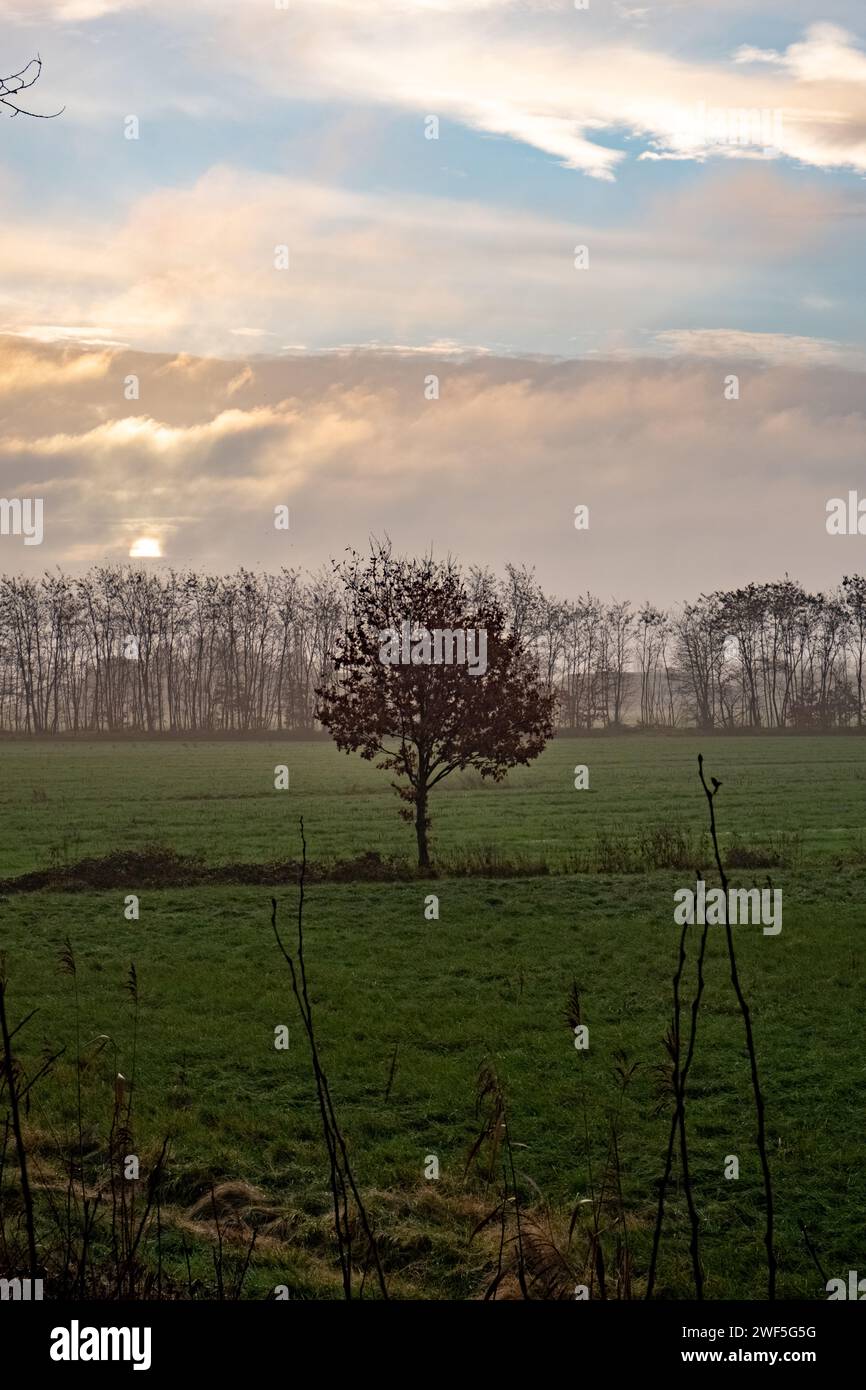 This image captures a serene, early morning landscape featuring a ...