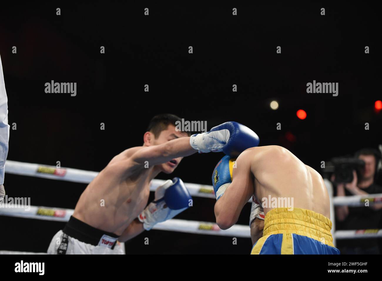 Professional boxing ukraine hi-res stock photography and images - Alamy