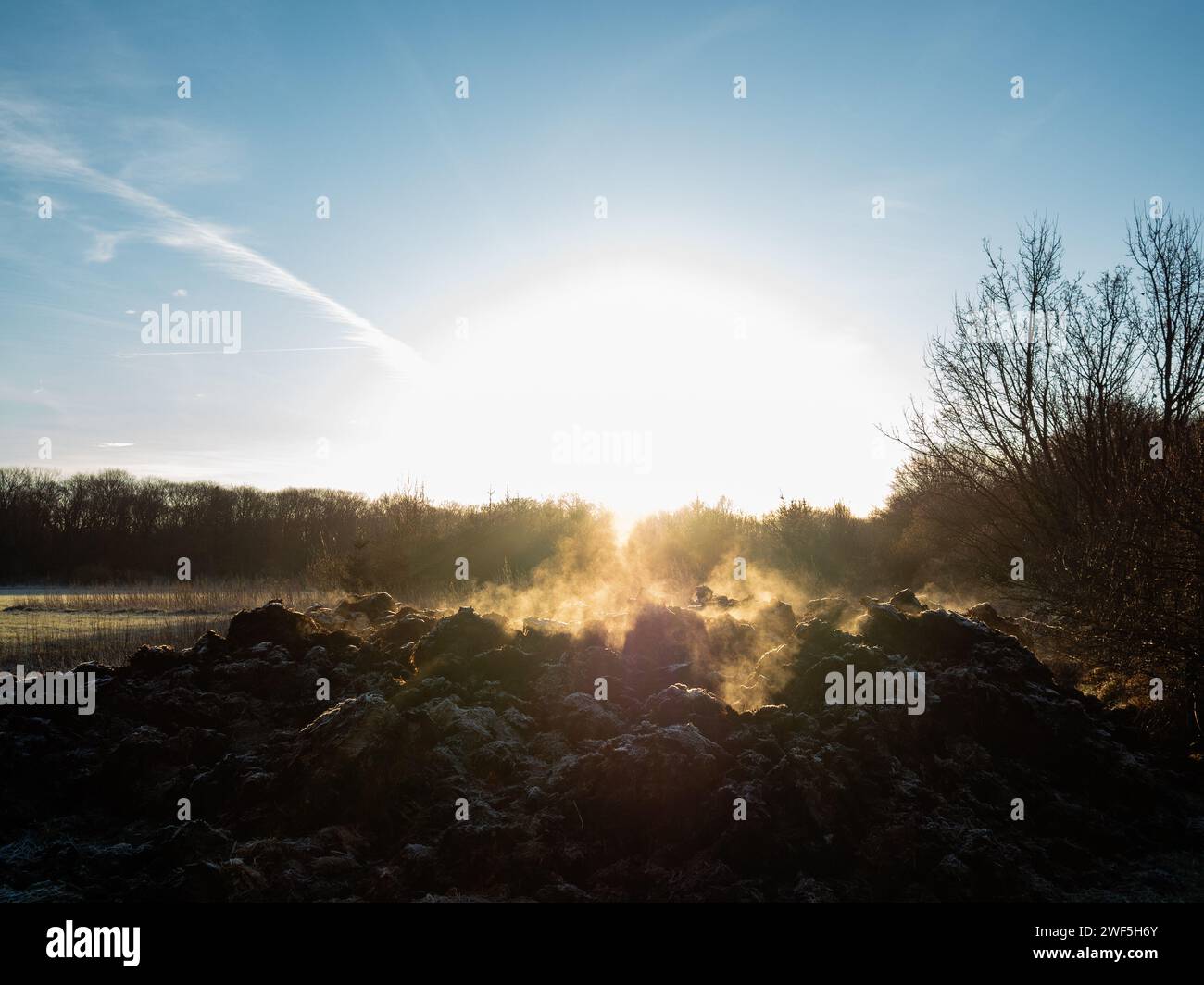 Decaying organic matter hi-res stock photography and images - Alamy