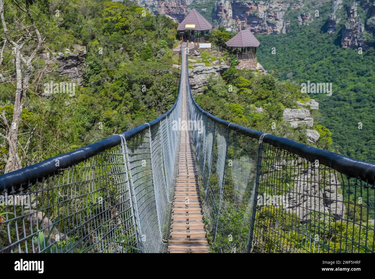 Lake Eland Nature reserve in Oribi gorge with a hanging suspension ...