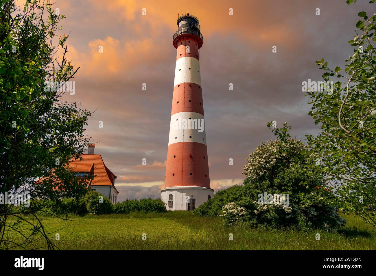 White lighthouse surrounded trees hi-res stock photography and images ...