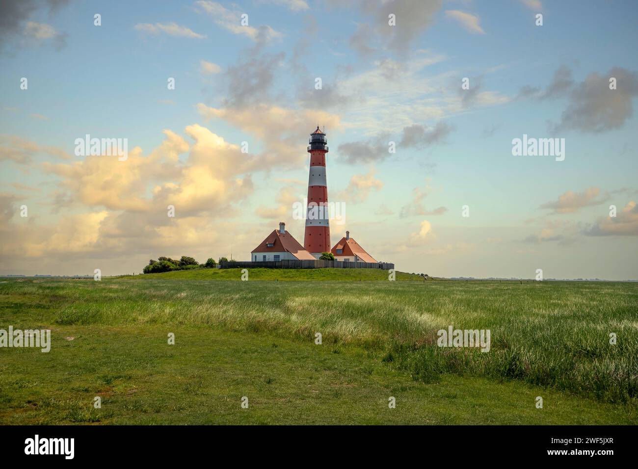 White lighthouse surrounded trees hi-res stock photography and images ...