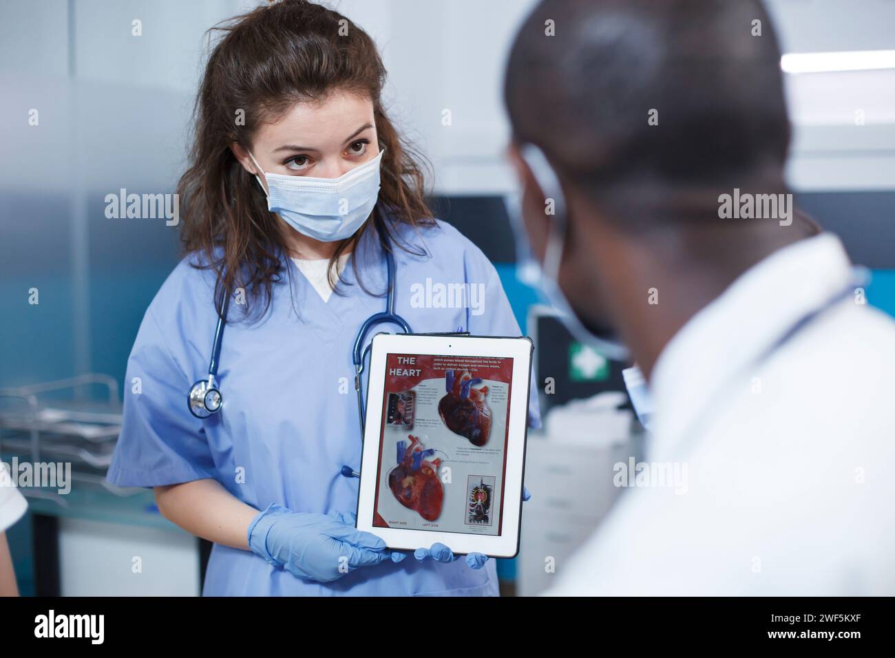 African American cardiologist and caucasian nurse shows heart ...