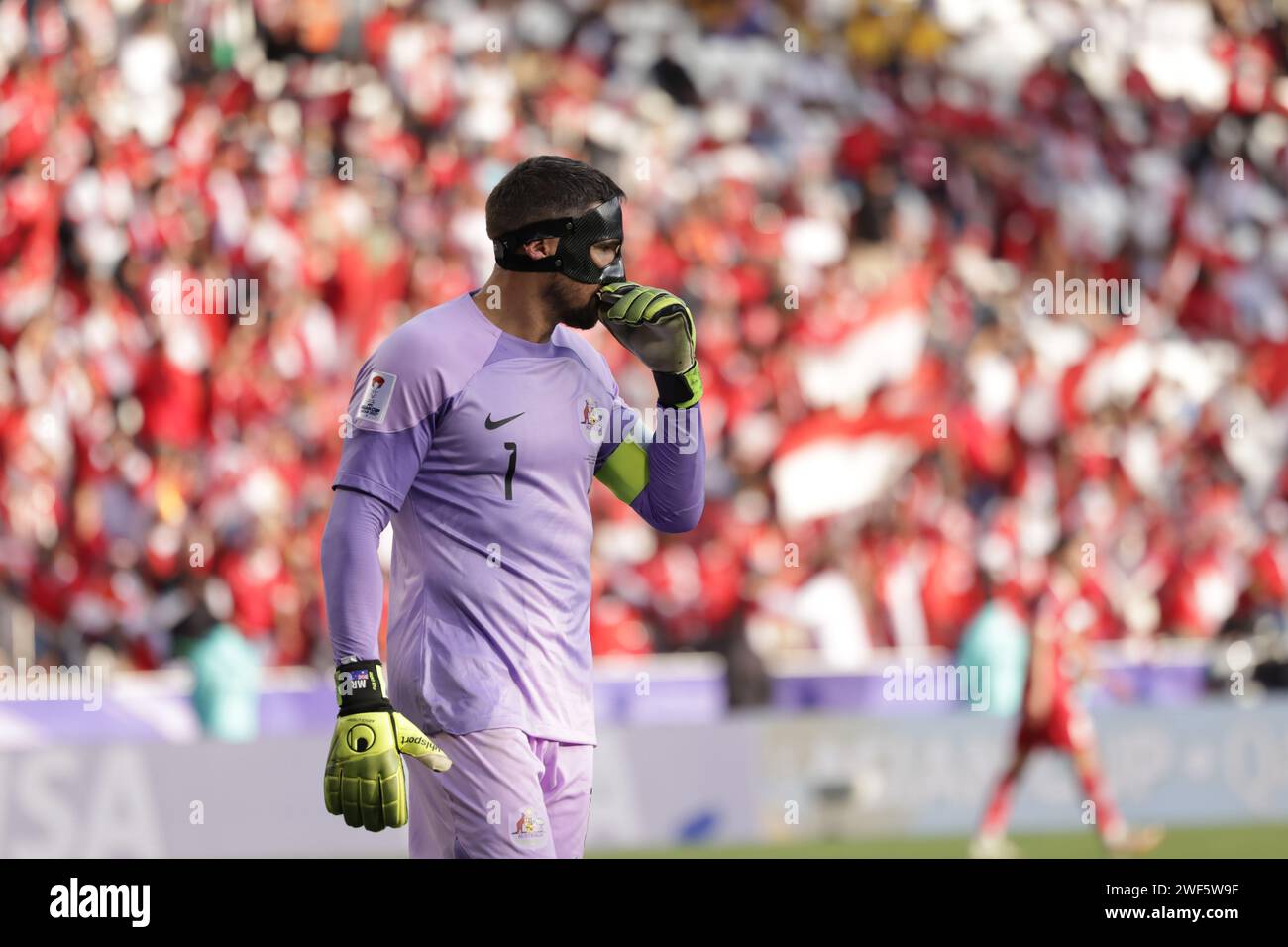 DOHA, QATAR - JANUARY 28: Mathew Ryan during the AFC Asian Cup Round of ...