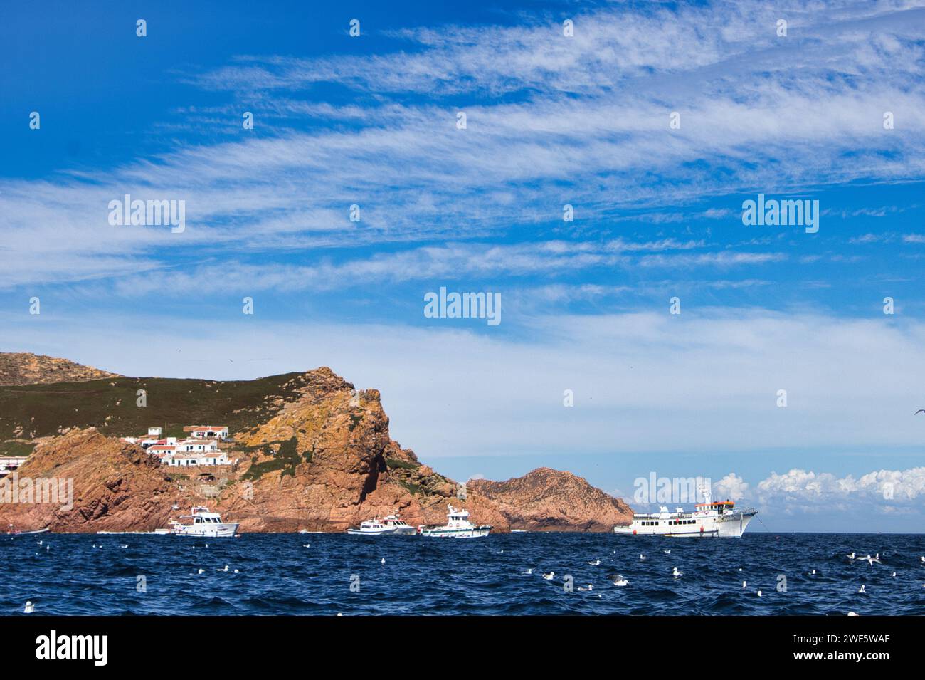 The harbour of the island, with rental boats Stock Photo - Alamy