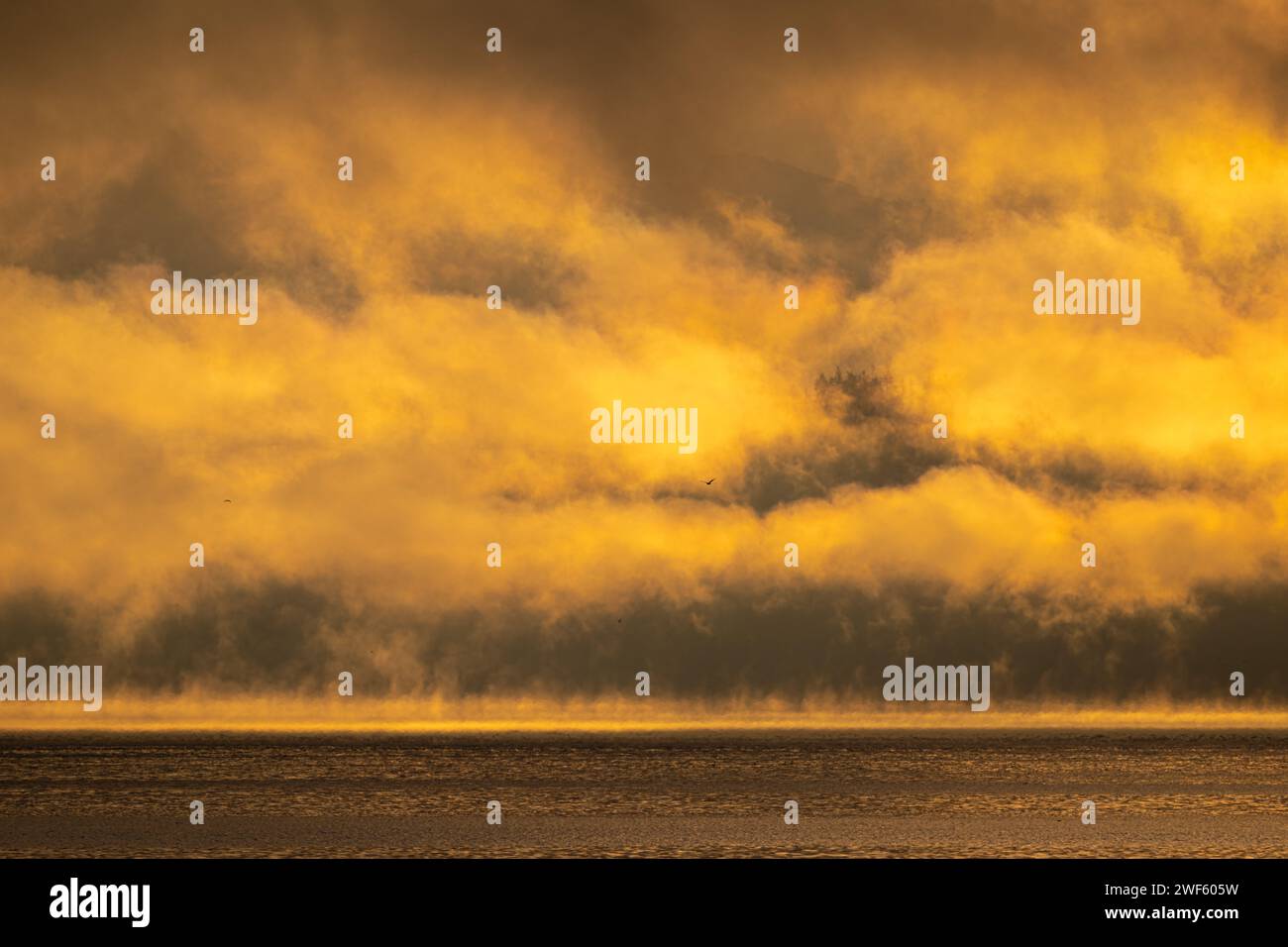 Clouds in Fall over the Puget Sound Stock Photo - Alamy