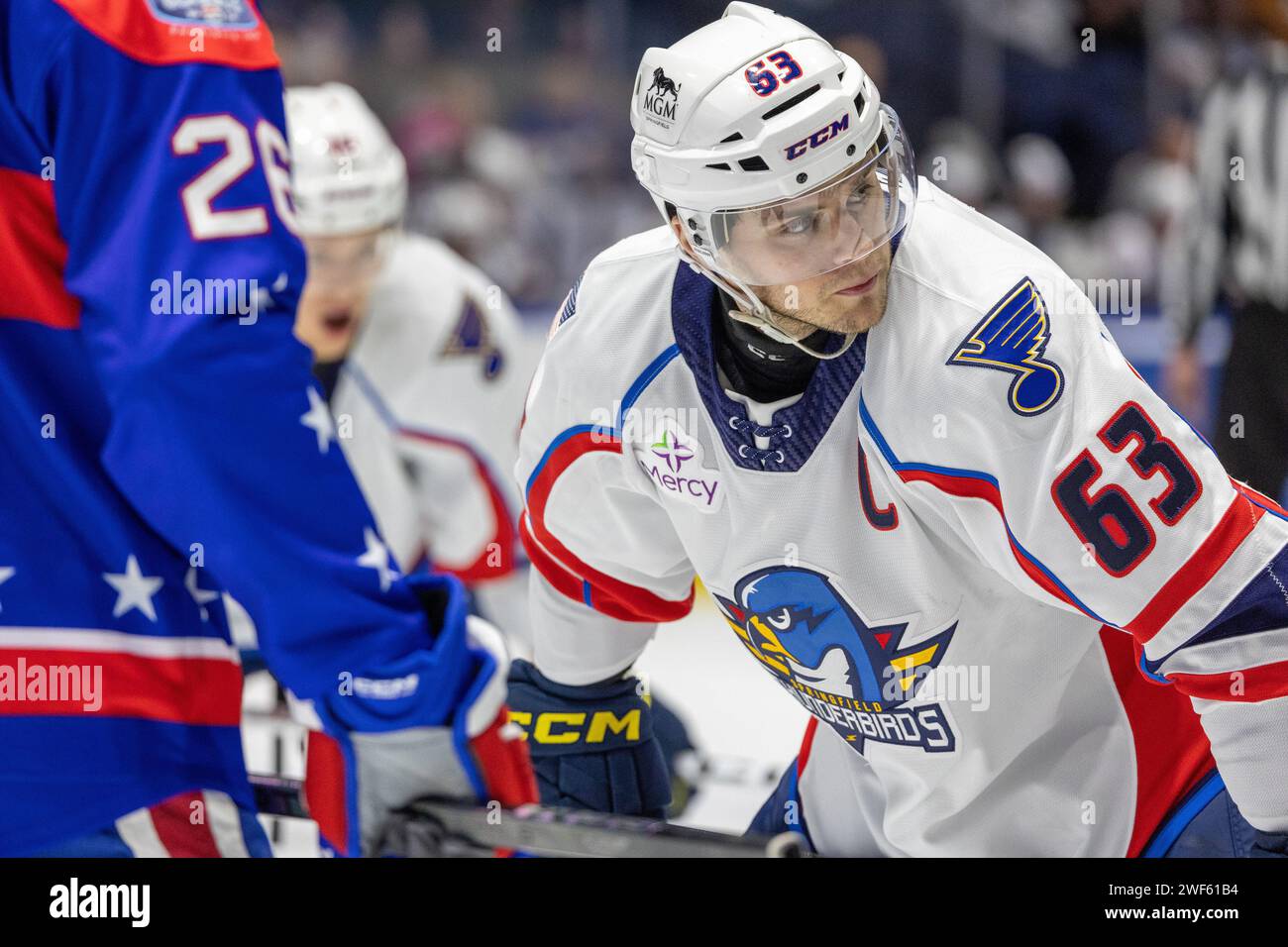 January 20th, 2024: Springfield Thunderbirds forward Matthew Peck (63 ...