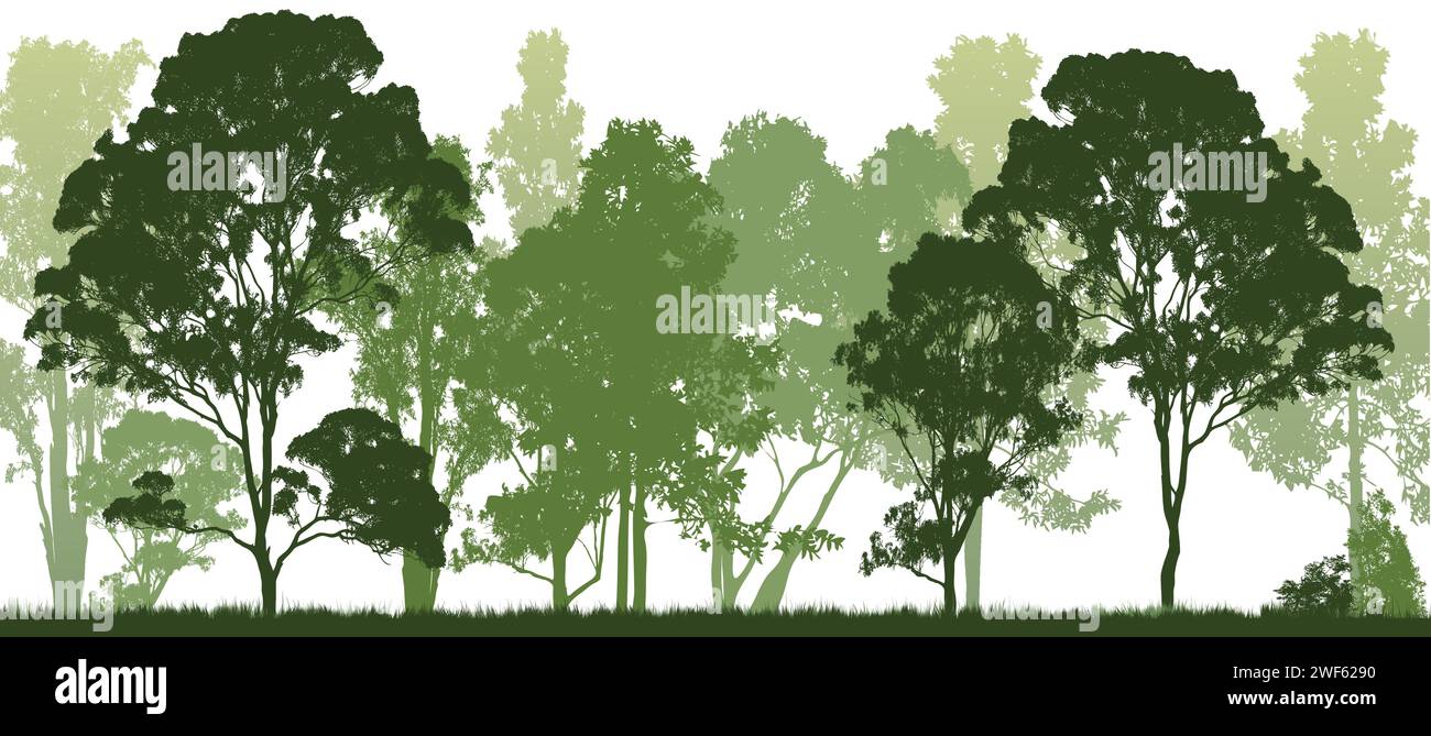 Green Silhouettes of various trees a against a white background ...