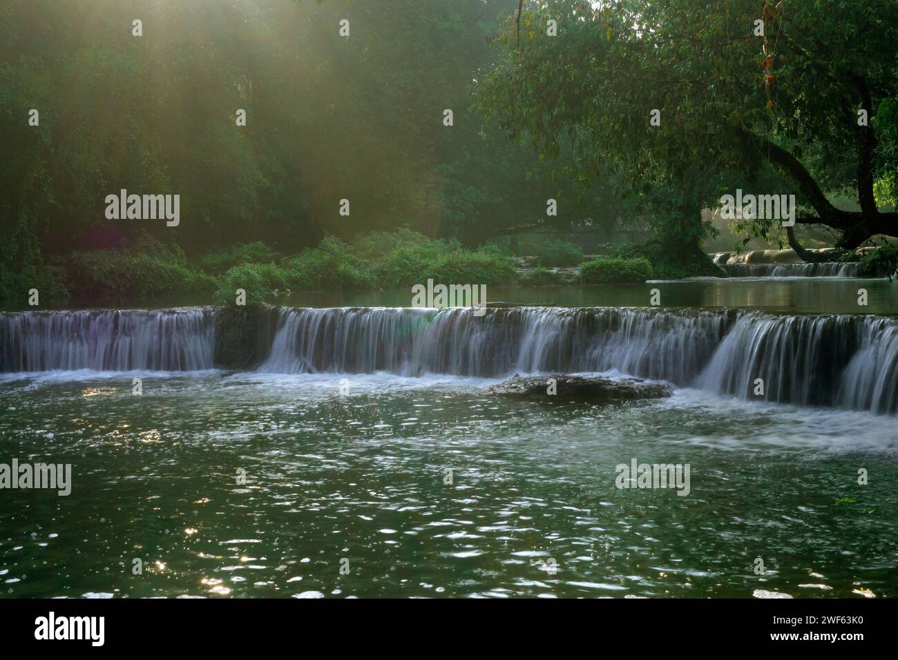 Waterfall green tree in forest hi-res stock photography and images - Alamy