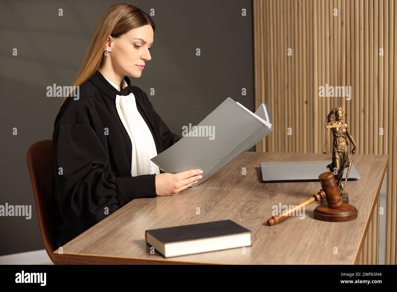 Judge with folder working at table in courtroom Stock Photo - Alamy