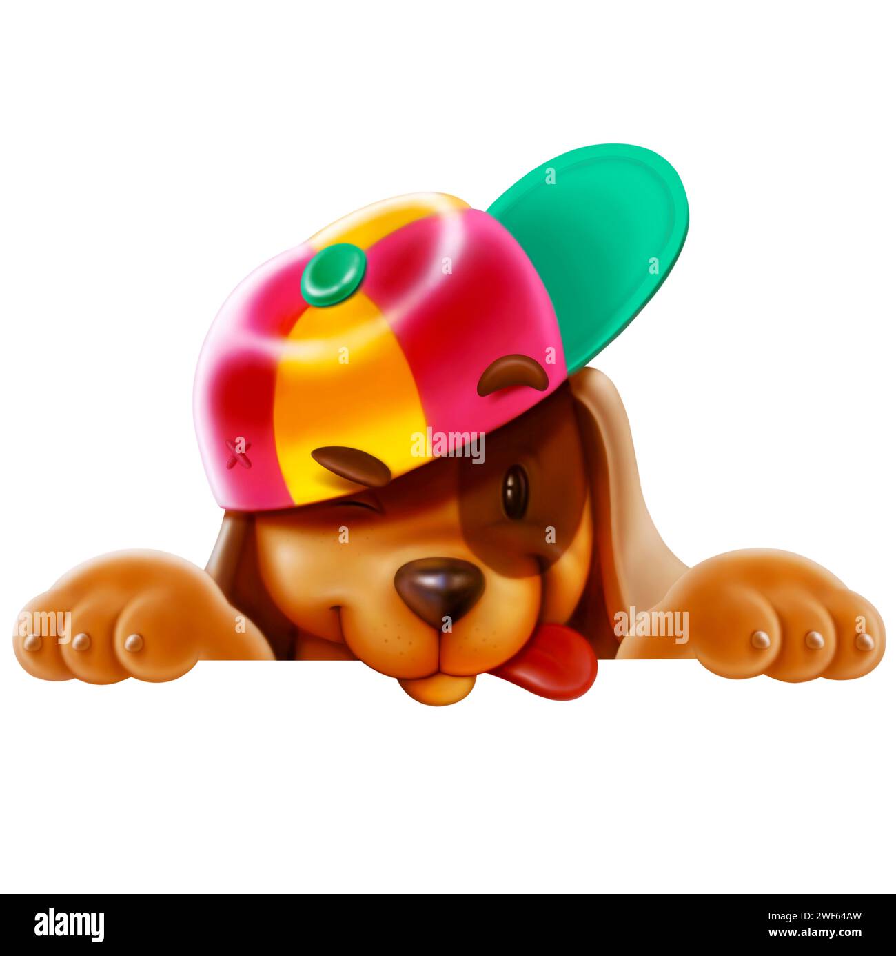 DOG WITH HAT ON ISOLATED COLORFUL BACKGROUND - HIP-HOP Stock Photo - Alamy