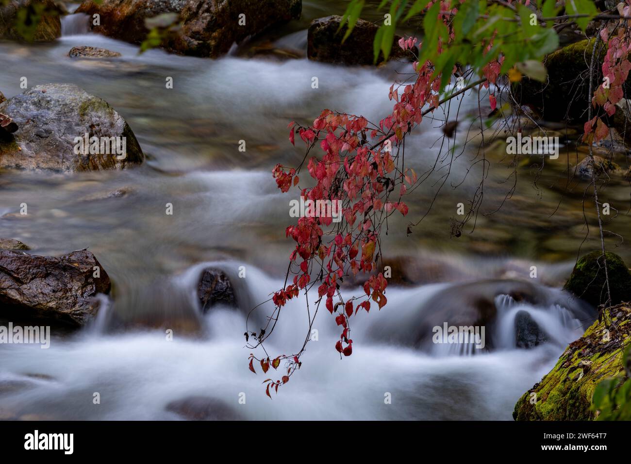 Autumn in Hanzhong, Shaanxi Stock Photo - Alamy