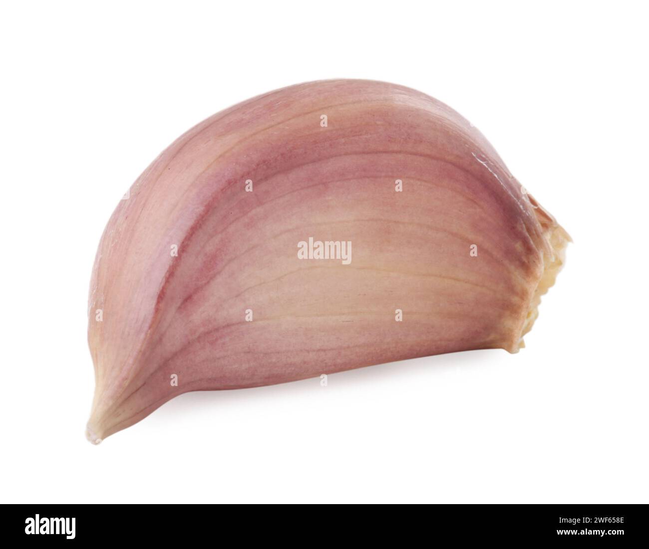One clove of garlic isolated on white Stock Photo - Alamy