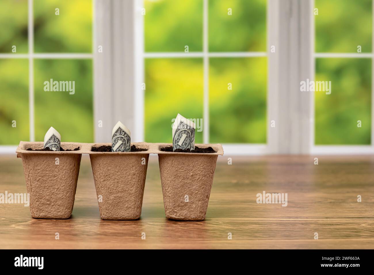 Money growth planning hi-res stock photography and images - Alamy